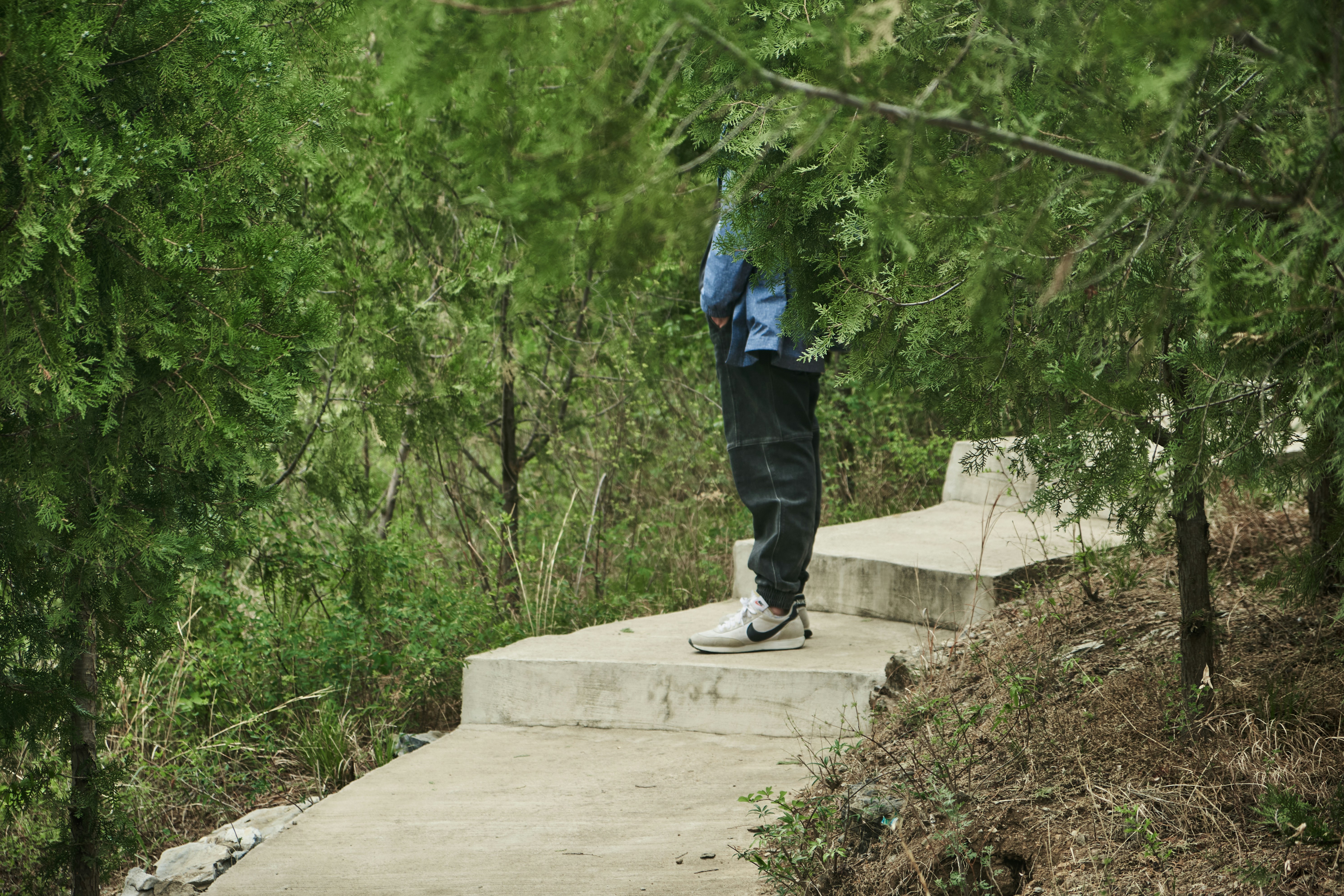 Partial Figure on a Concrete Staircase Hidden Among Greenery