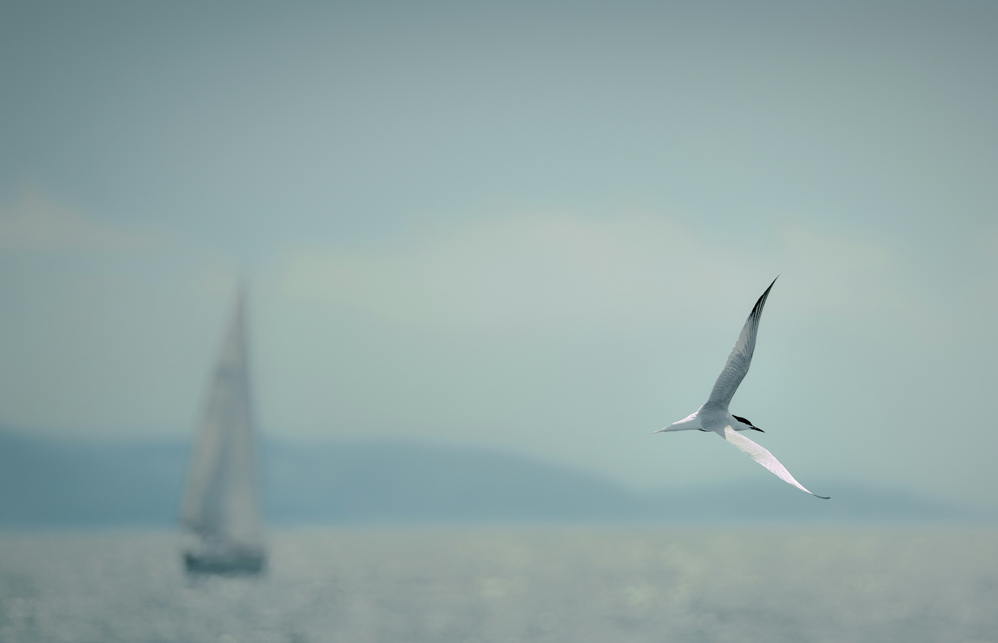 Sailing.