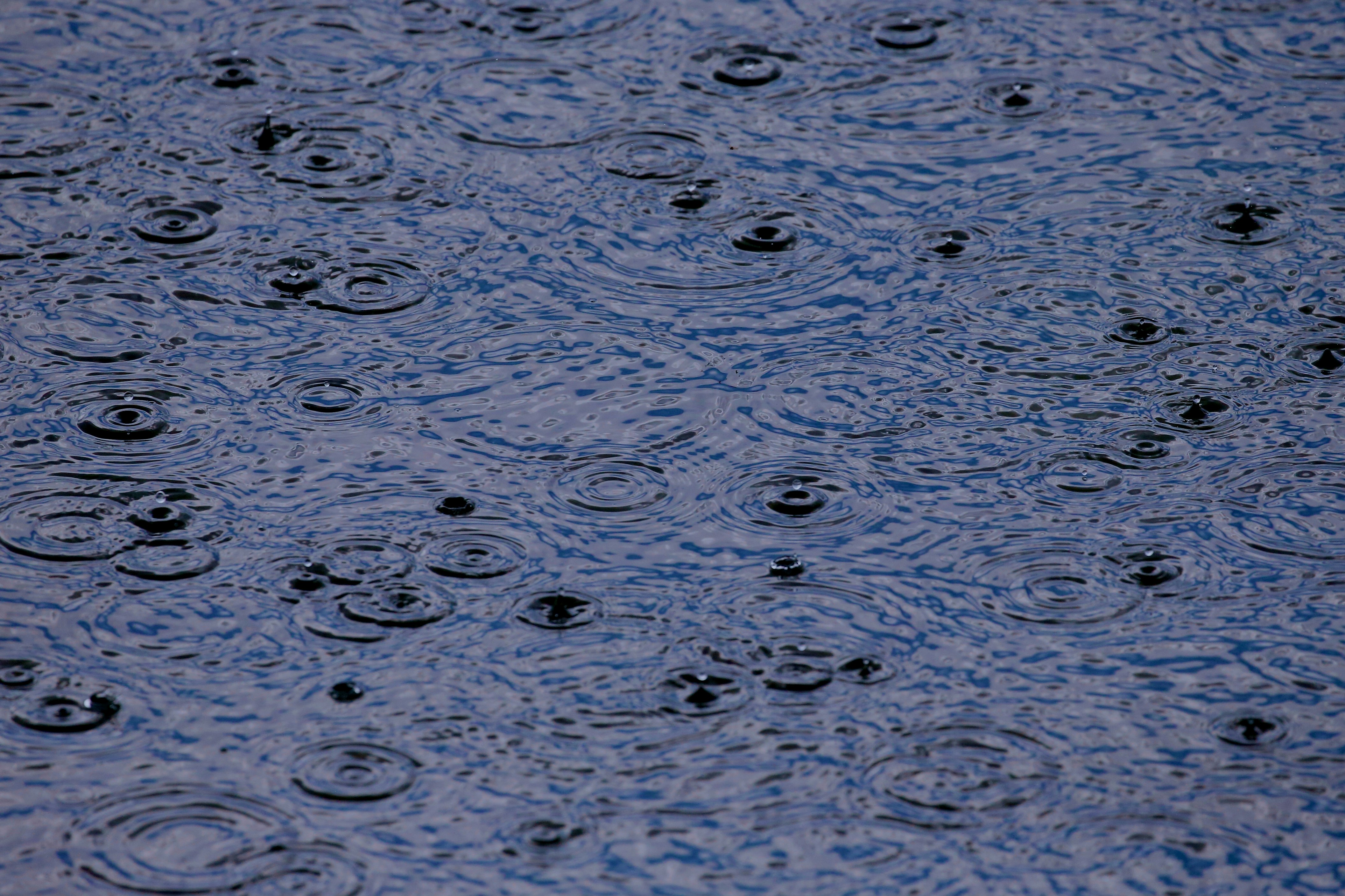 Blue Rain Rings: Ripples on a Glassy Canvas