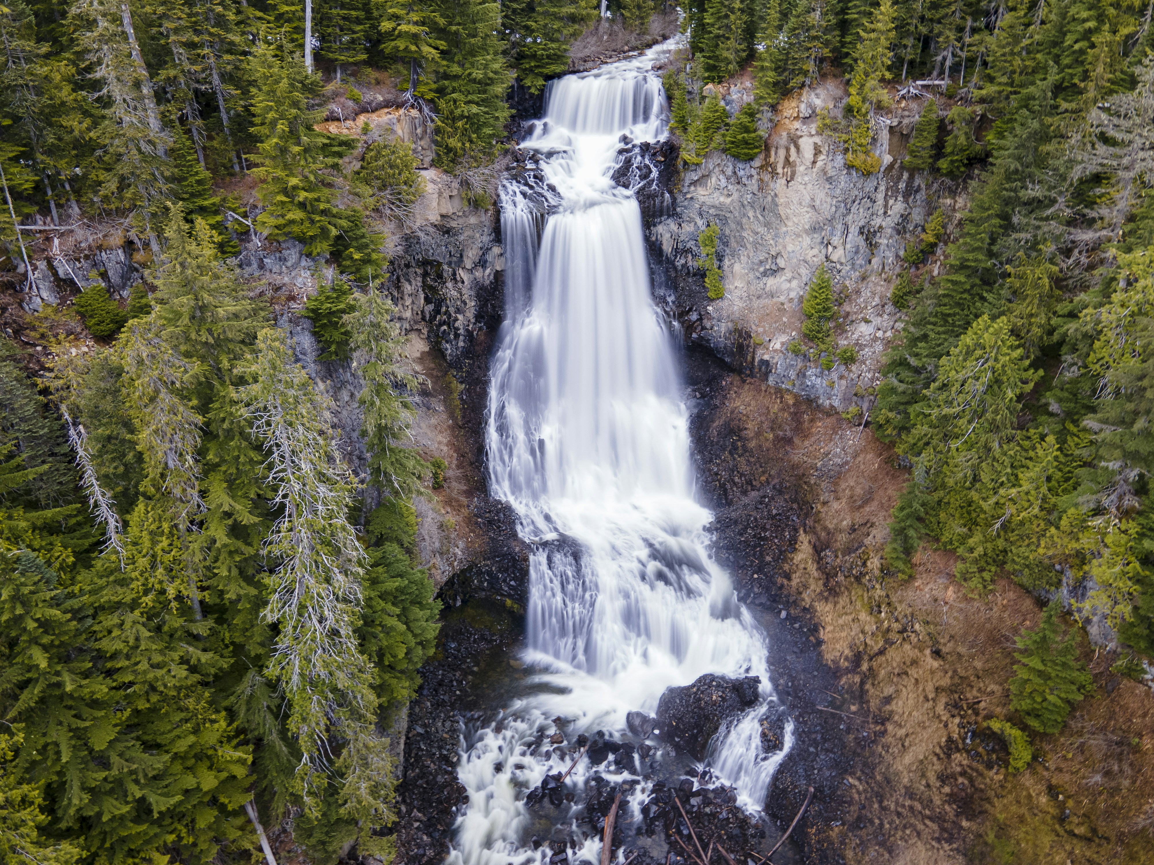 Twin-Tier Cascade Framed by Pines in a Mountain Gorge