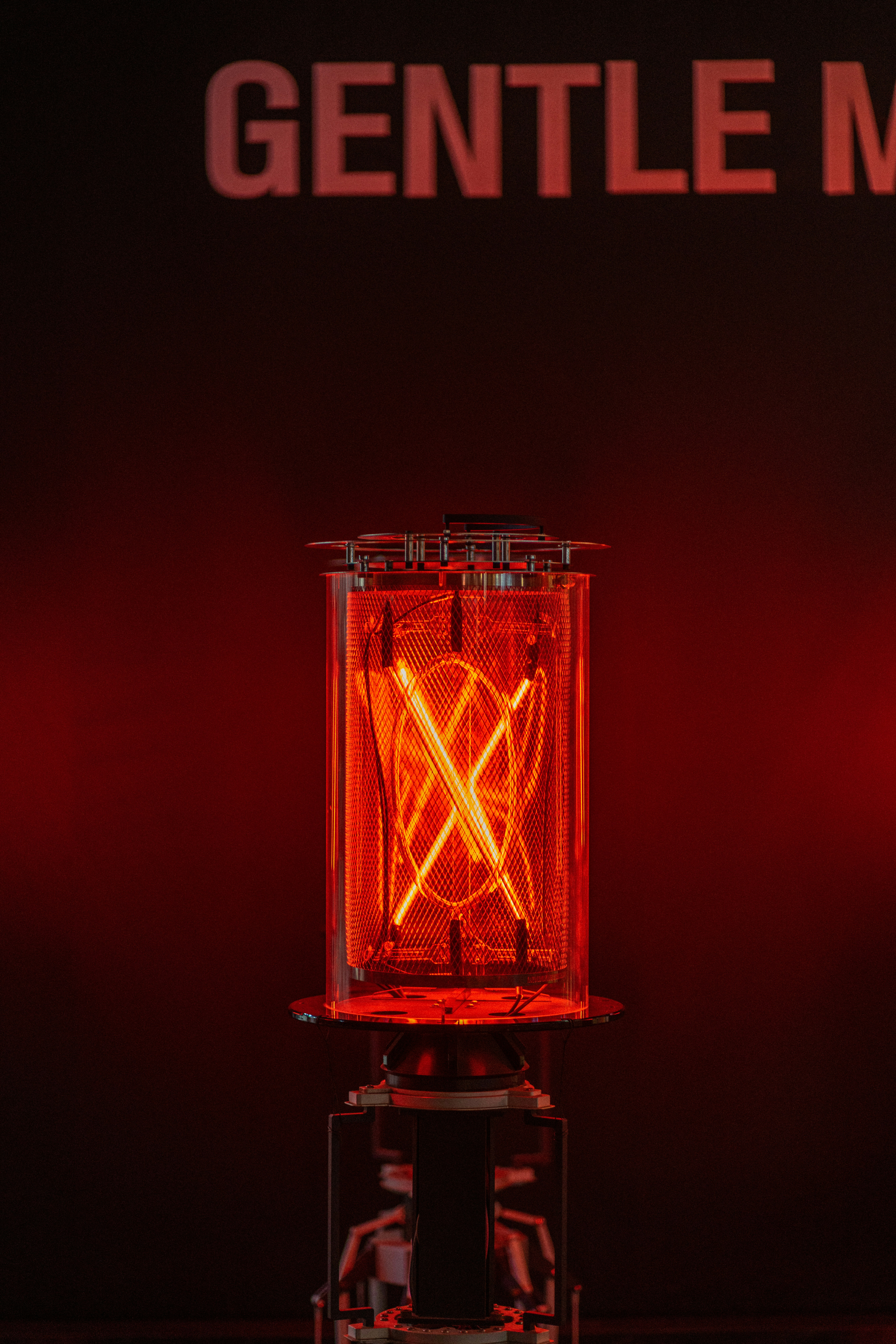 Crimson Helix in Velvet Darkness: A Vintage Edison Lamp Portrait