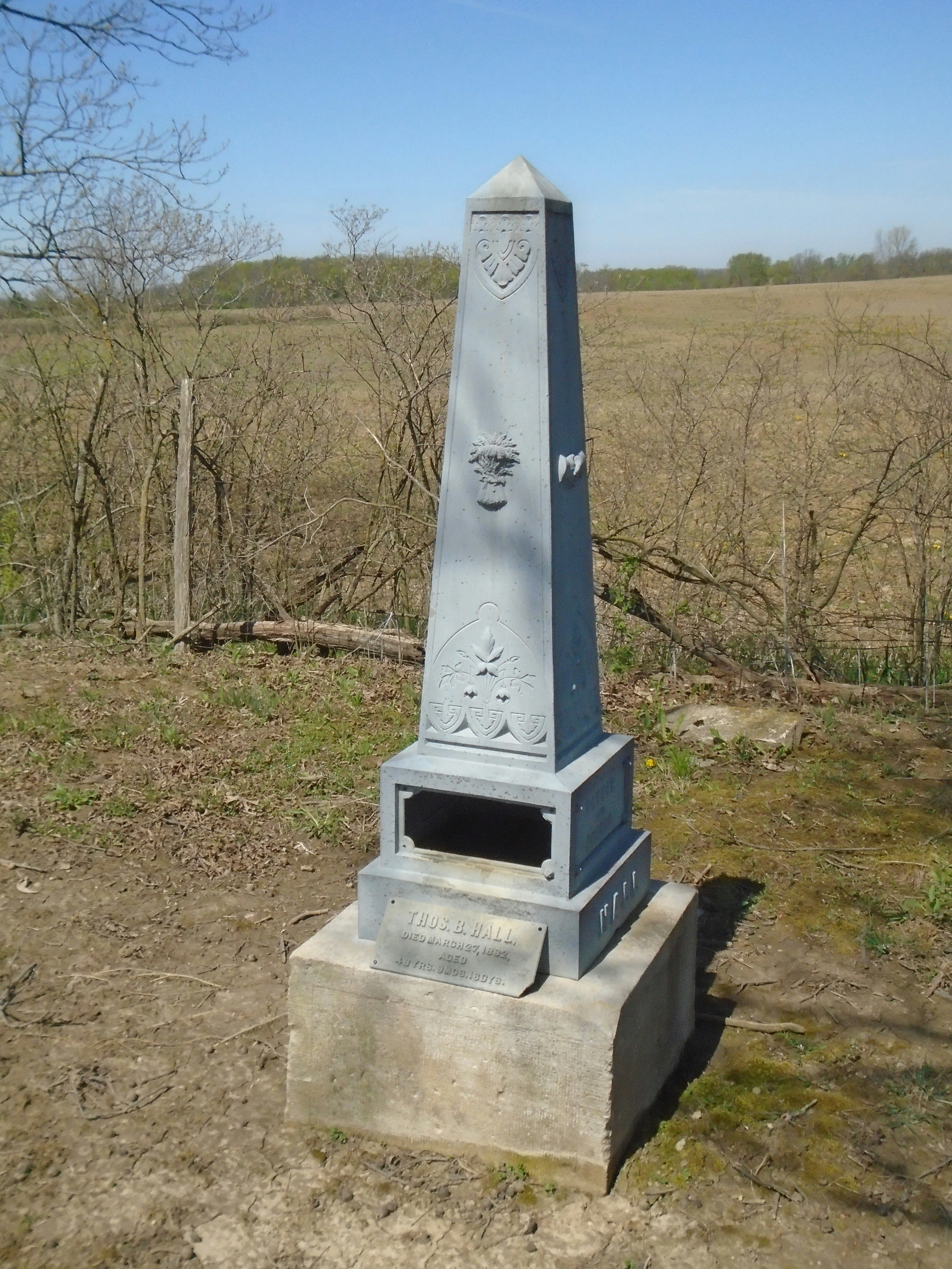 Weathered obelisk standing in a rural landscape, surrounded by sparse vegetation and open fields. The structure features intricate carvings and inscriptions, symbolizing a historical significance.