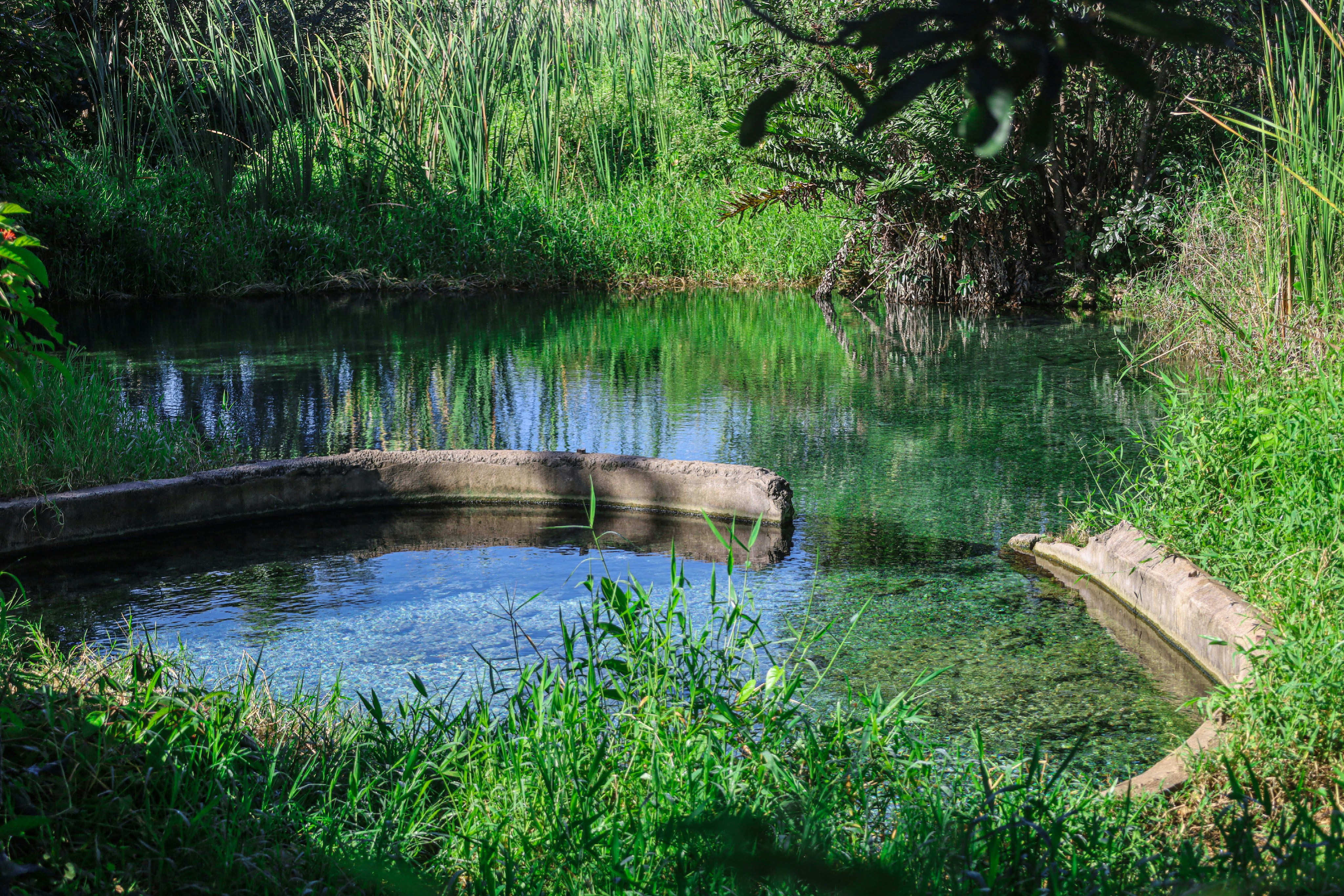 Manantial Pictures | Download Free Images on Unsplash