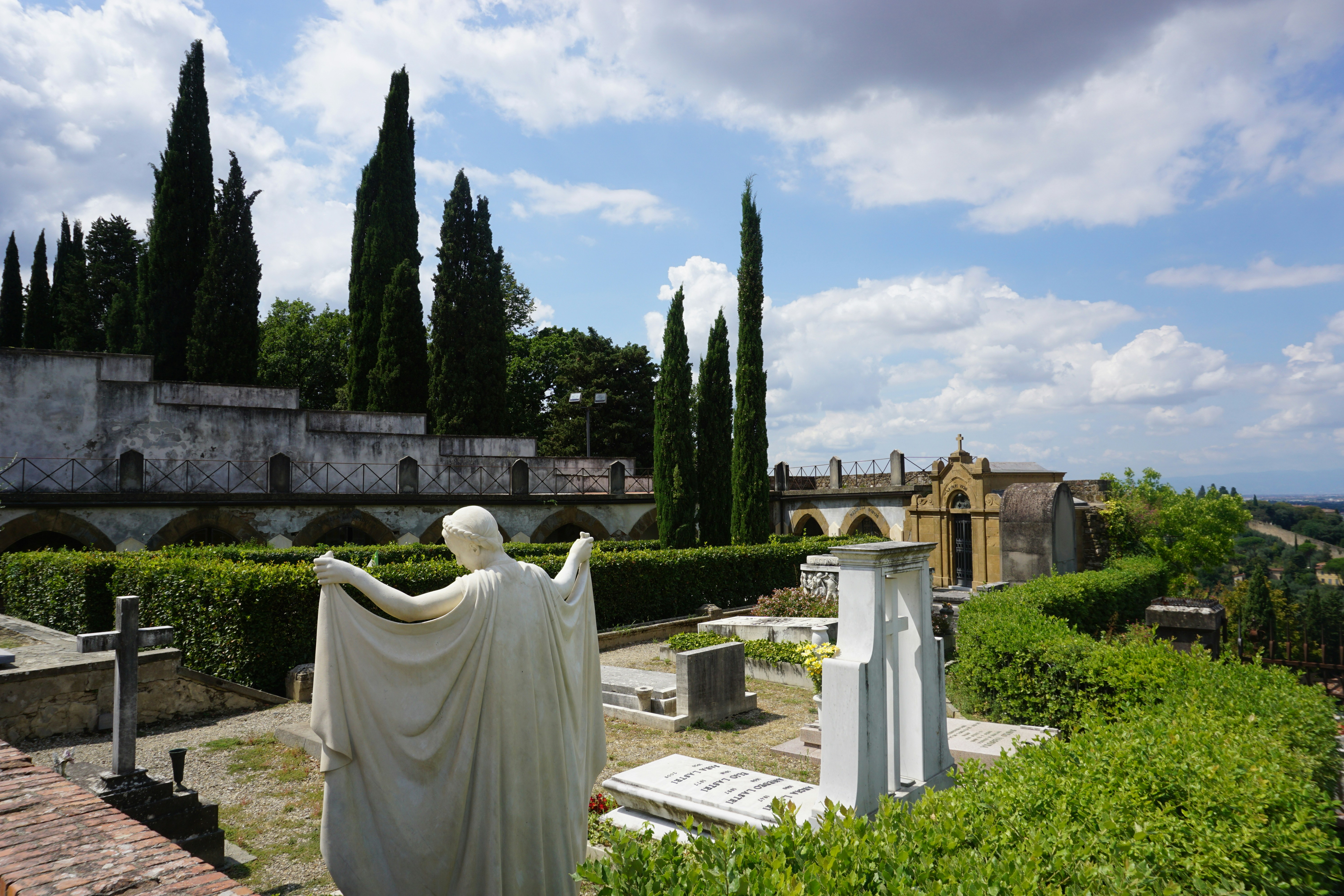 Draped Sentinel in a Sunlit Cloister Garden