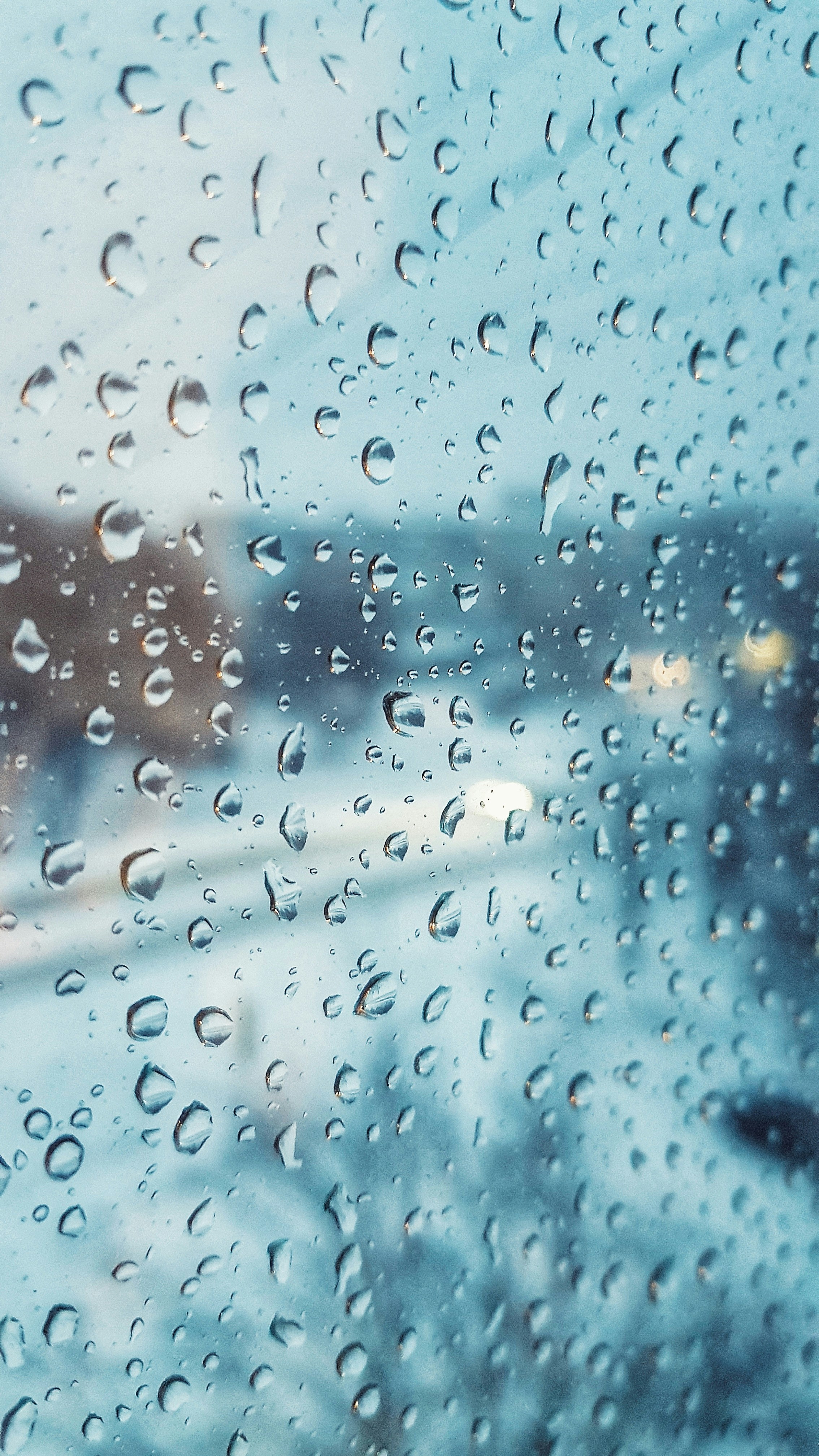 Paper Butterfly (@paper_butterfly) | Communauté photos Unsplash