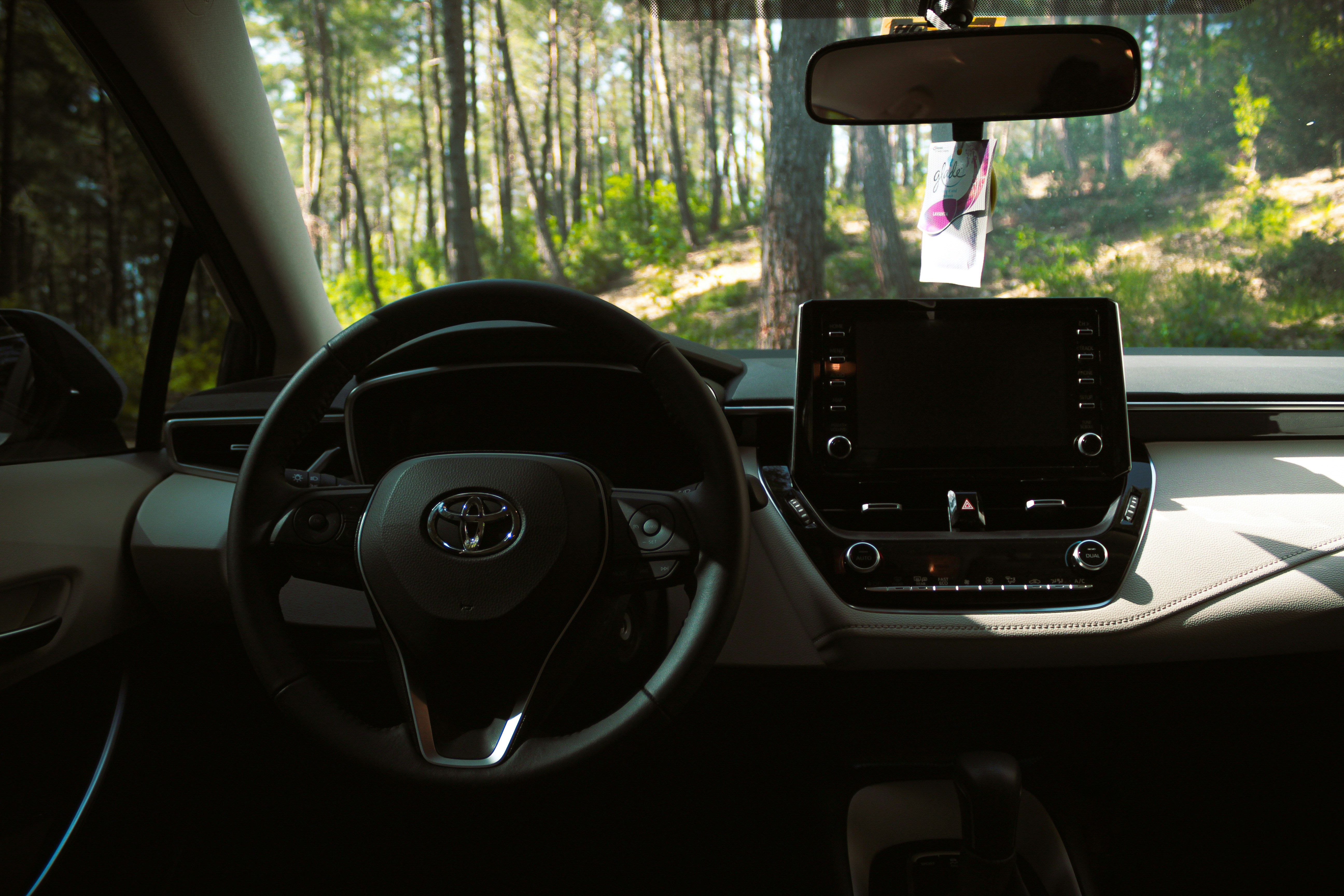 Car interior with a steering wheel and dashboard, framed by a forest view through the windshield.