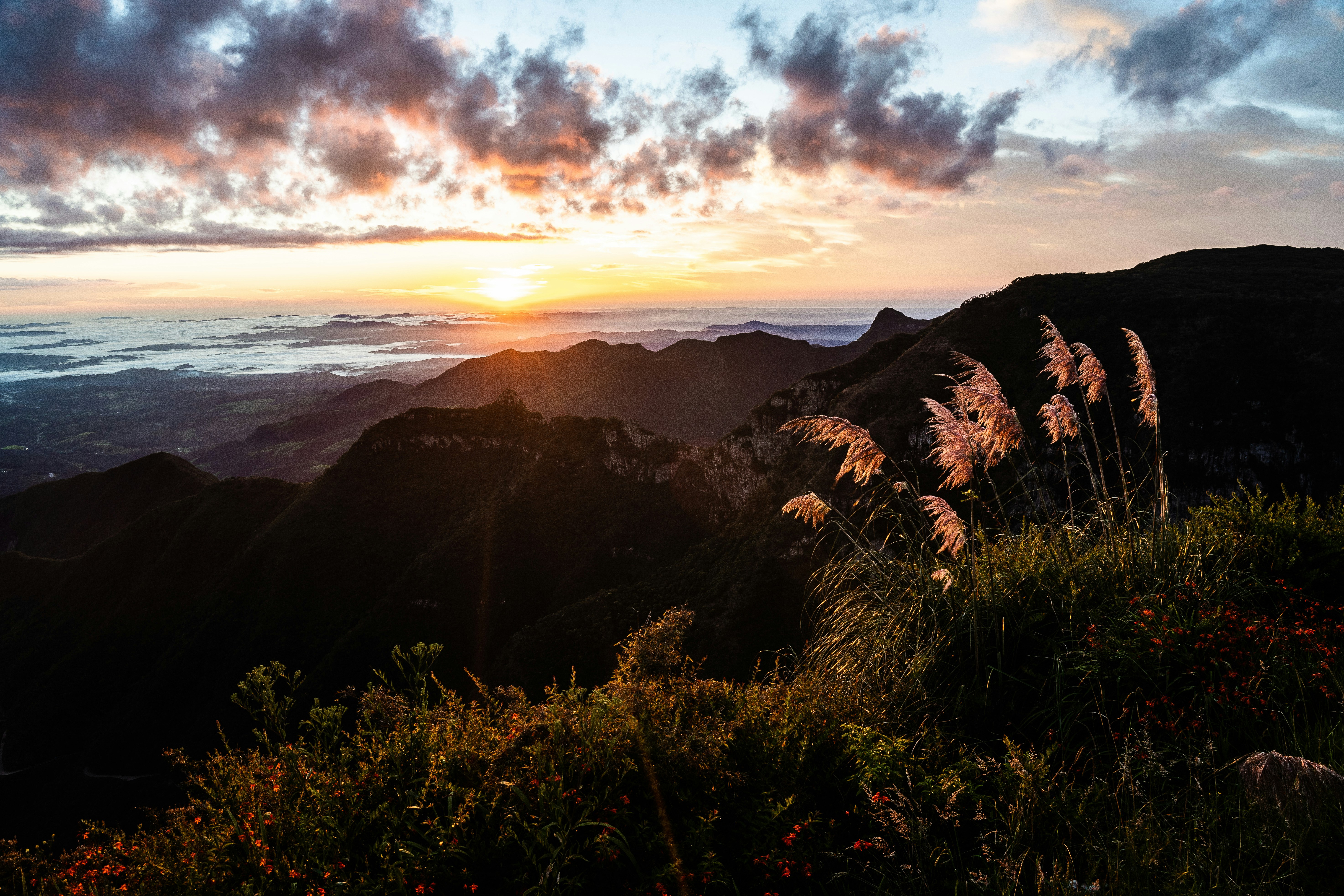 Golden hour light bathes mountain landscape with tall grasses swaying in the foreground.
