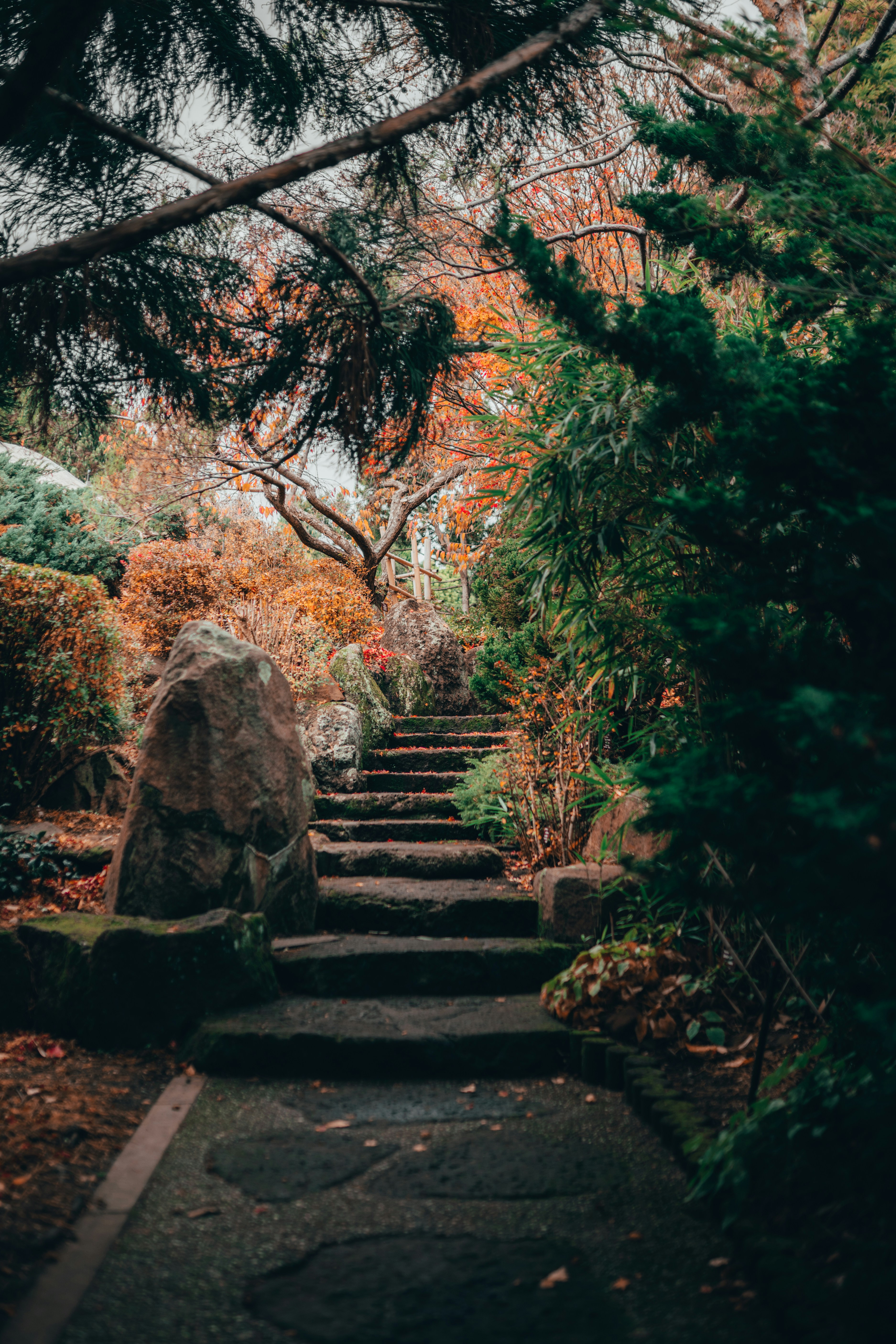 Winding stone steps lead through a vibrant garden adorned with autumn foliage, inviting exploration and tranquility.