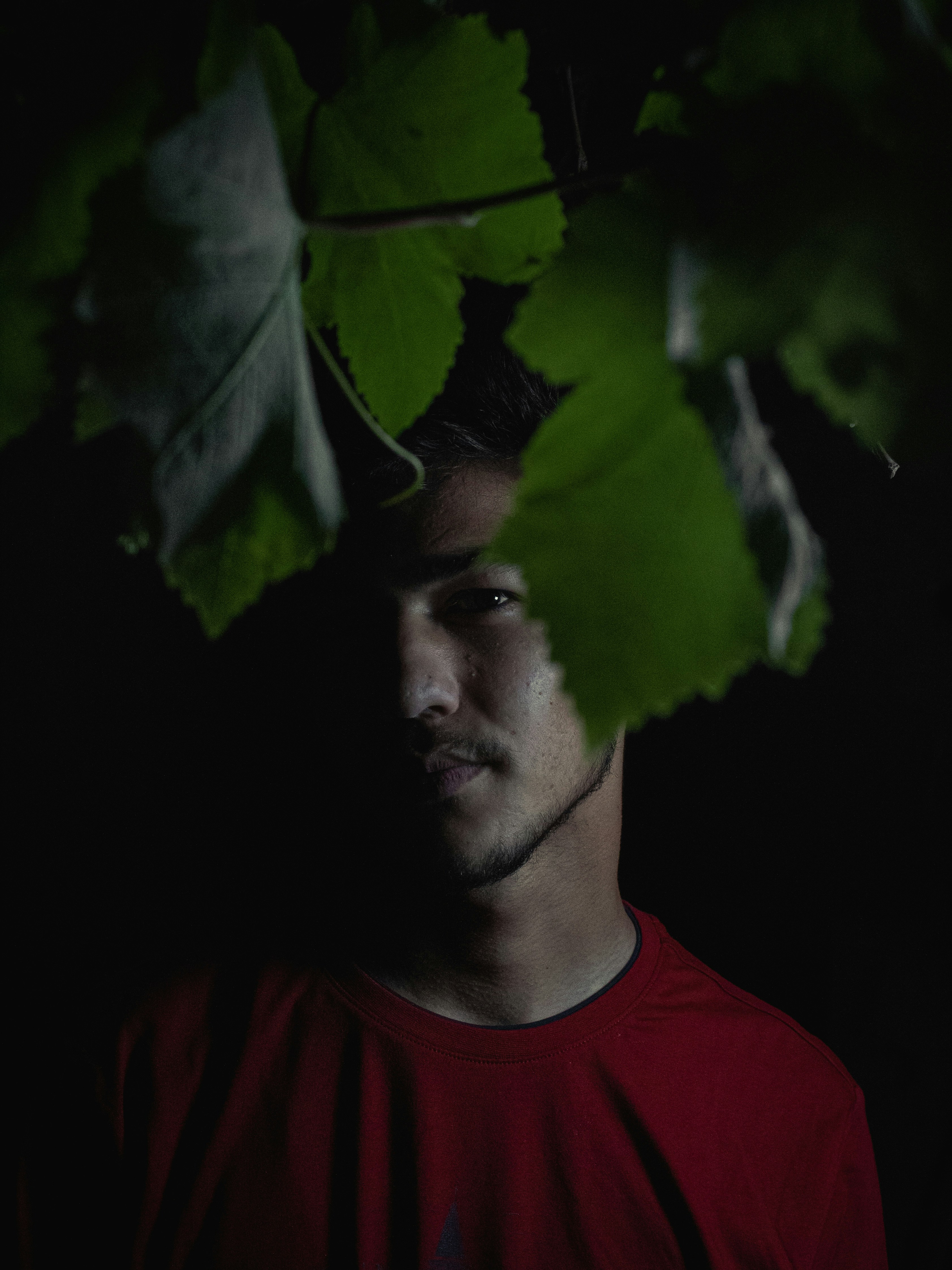 Veiled Portrait: A Quiet Moment Beneath Hidden Leaves