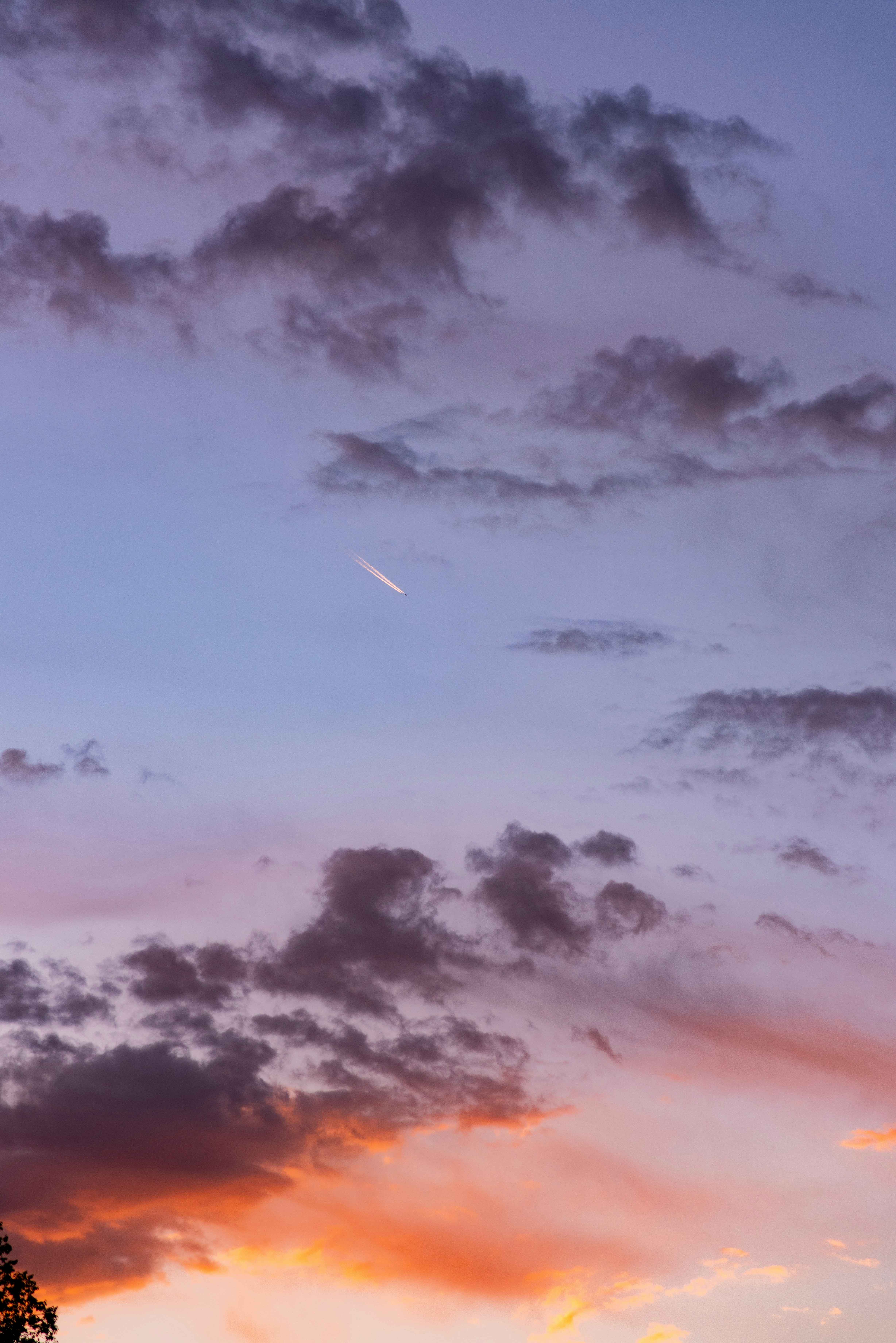 Purple Sunrise Pictures | Download Free Images on Unsplash