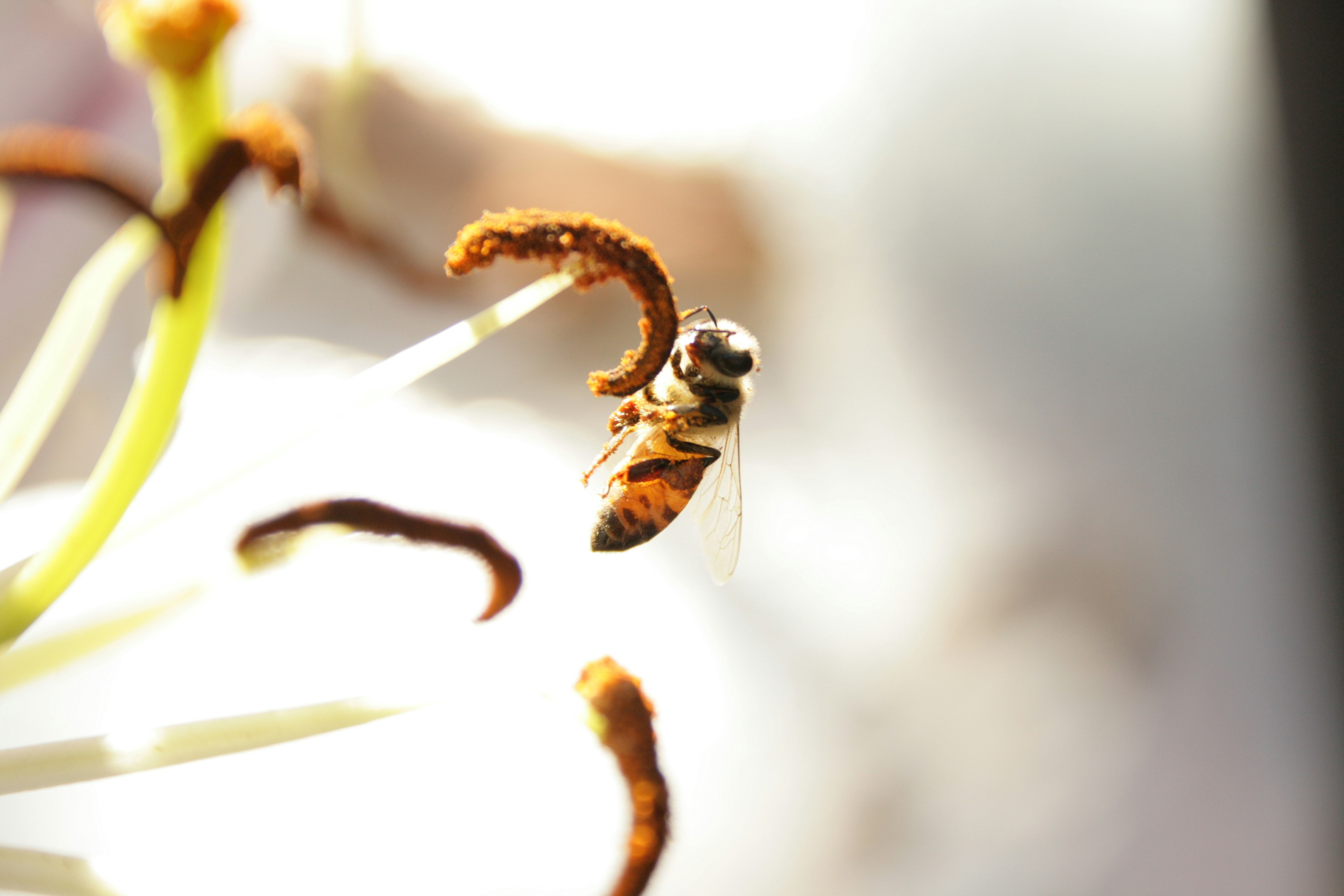 Sample photo from Canon EOS 400D