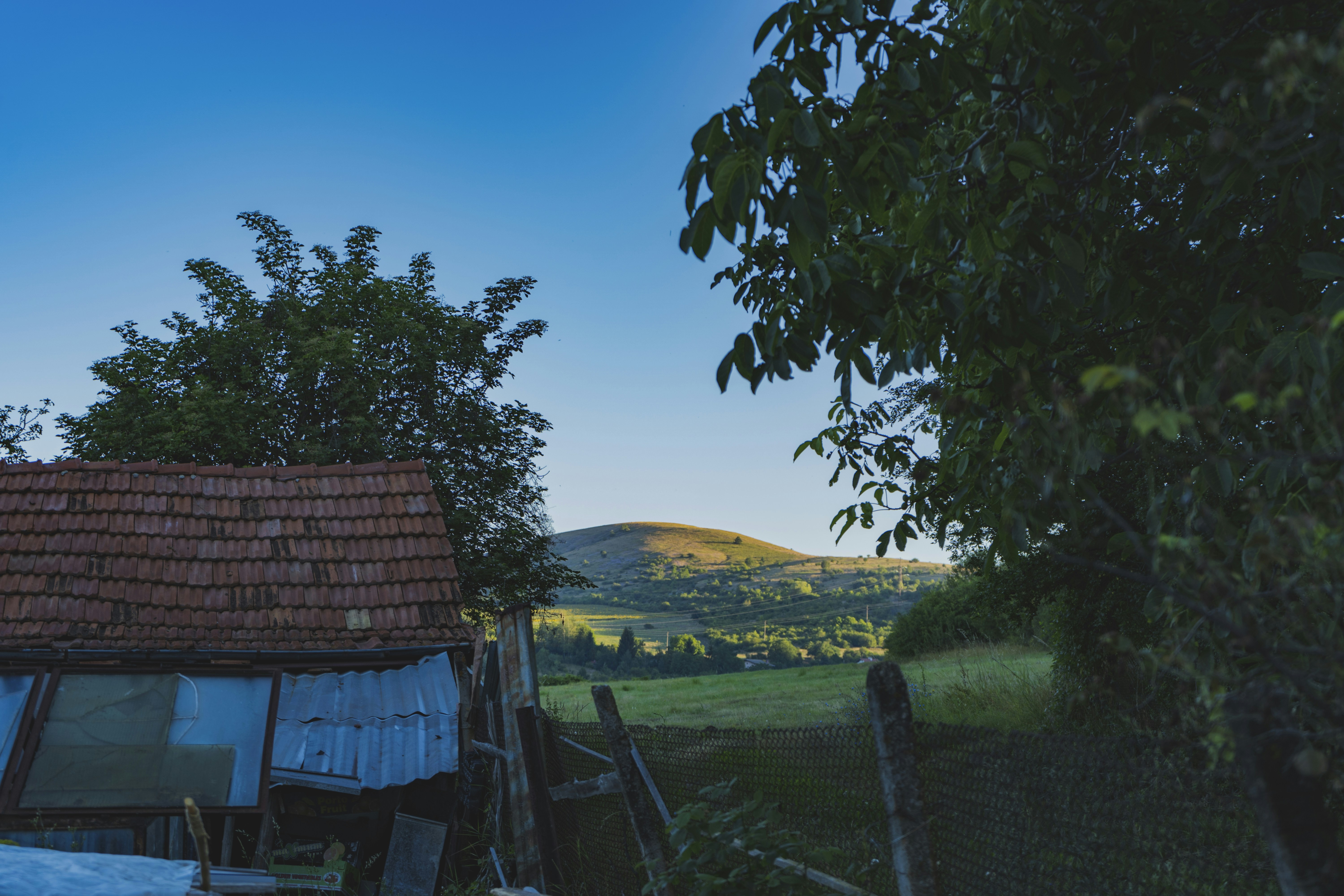 Rustic wooden cabin nestled among lush greenery with a distant hill illuminated by the evening sun.