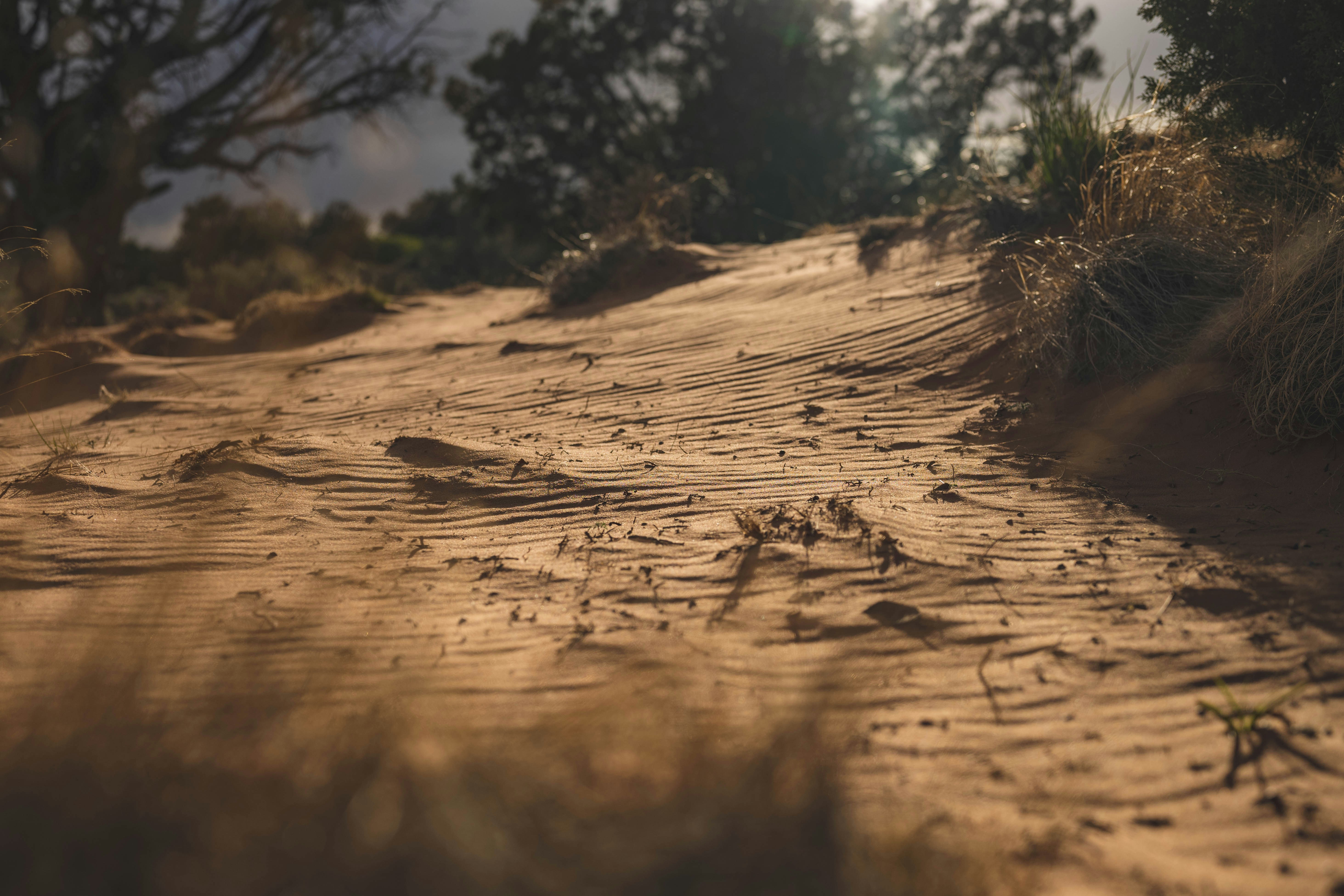 Desert Footprints and Wind-Sculpted Dunes at Dusk