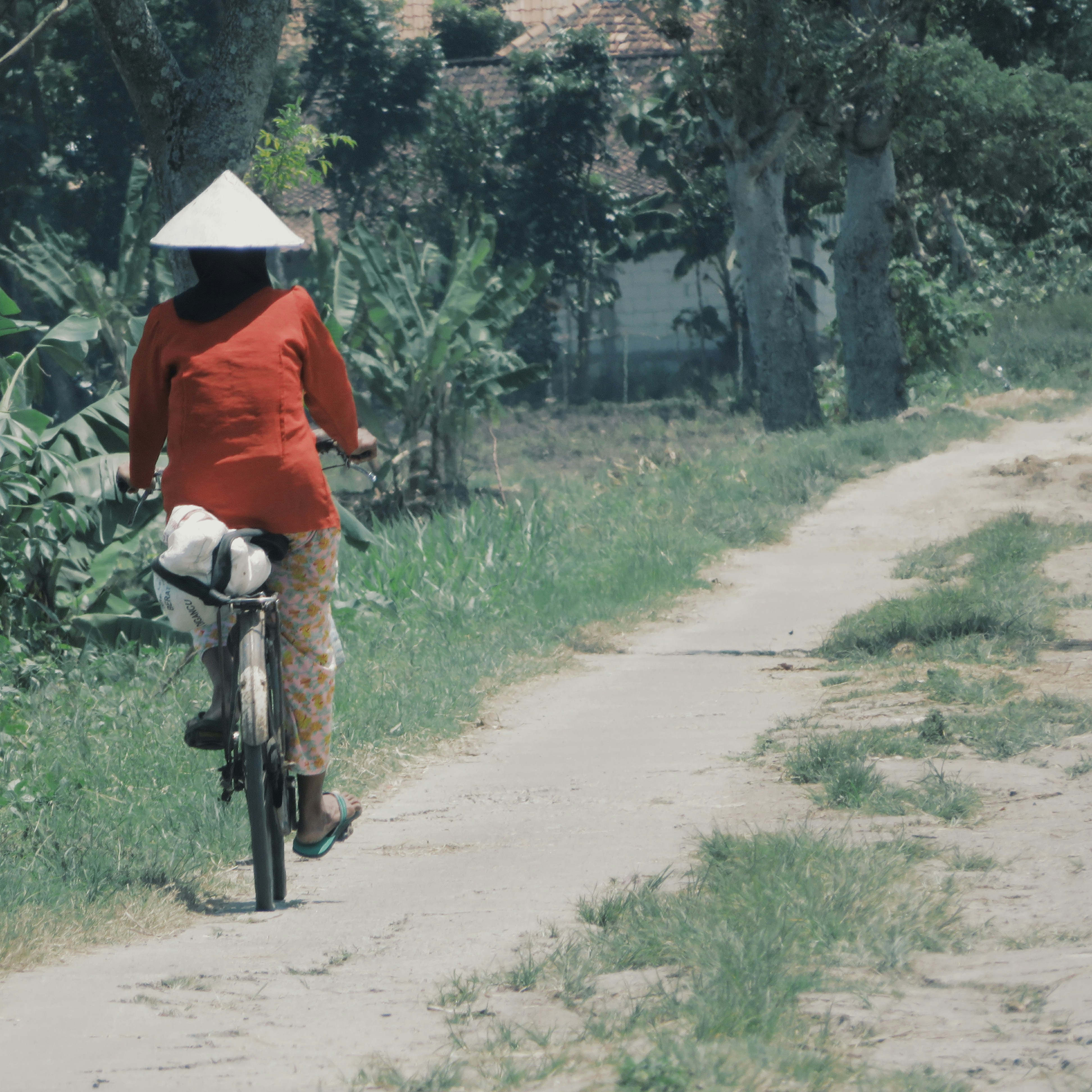 Photograph of a cyclist wearing a conical hat and red top riding along a sunlit dirt path, with lush vegetation lining the route. It emphasizes a quiet, everyday moment on a rural track.