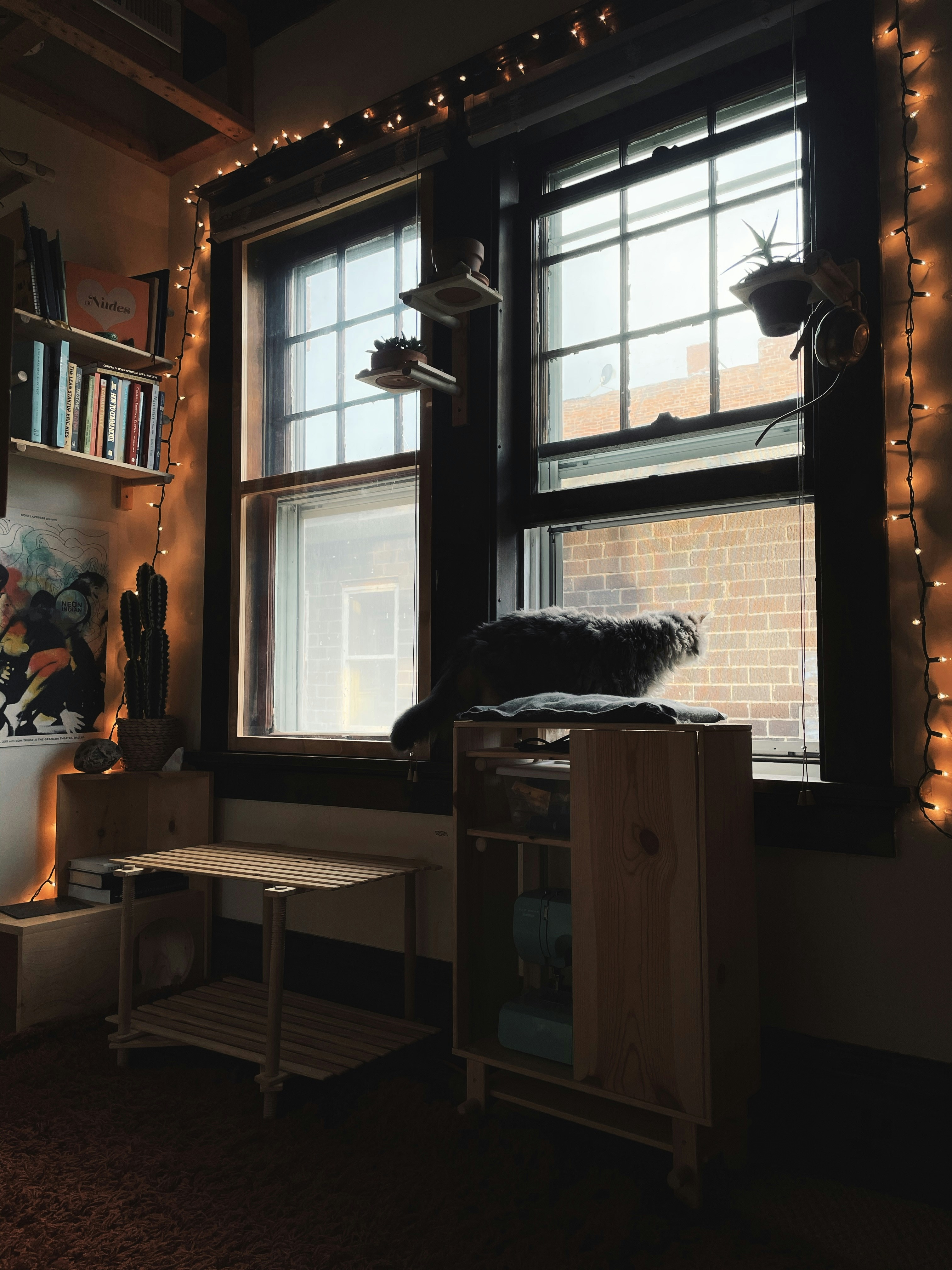 Sunlit Purr on a Window-Seat: A Quiet Corner of String Lights and Books