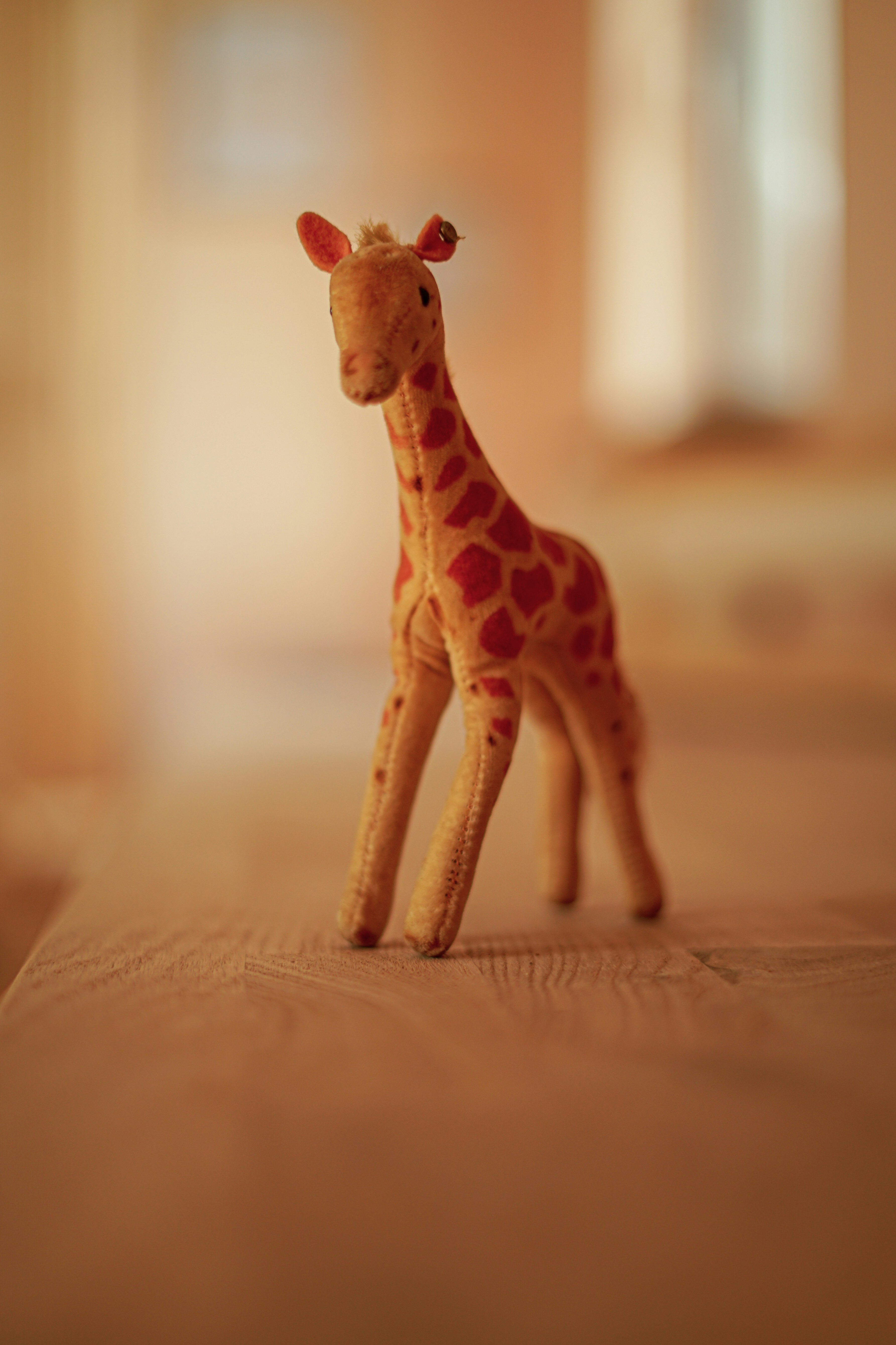Whimsy in Warm Focus: A Plush Giraffe on a Quiet Table