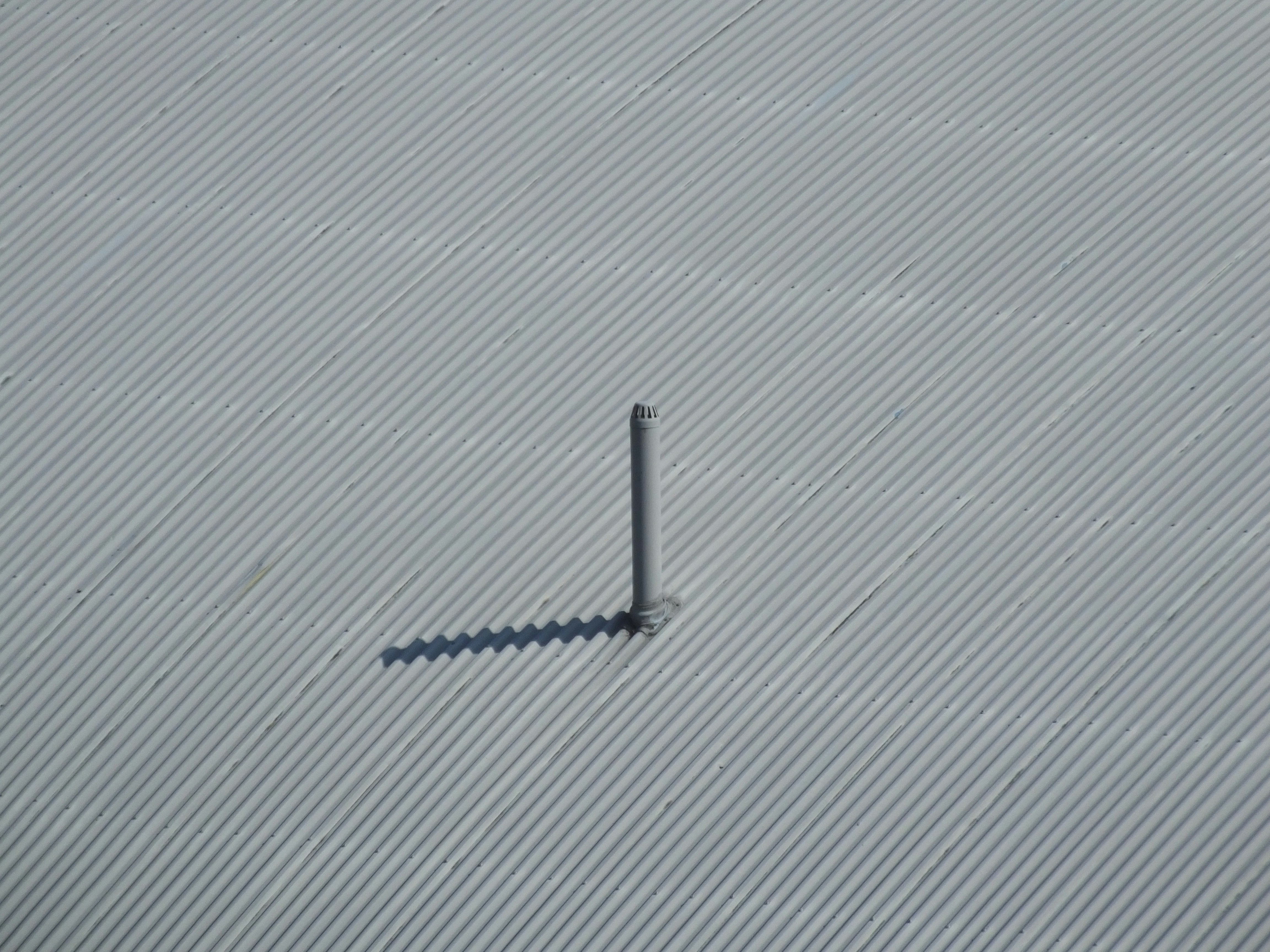 A Single Nail in a Wind-Scored Snowfield
