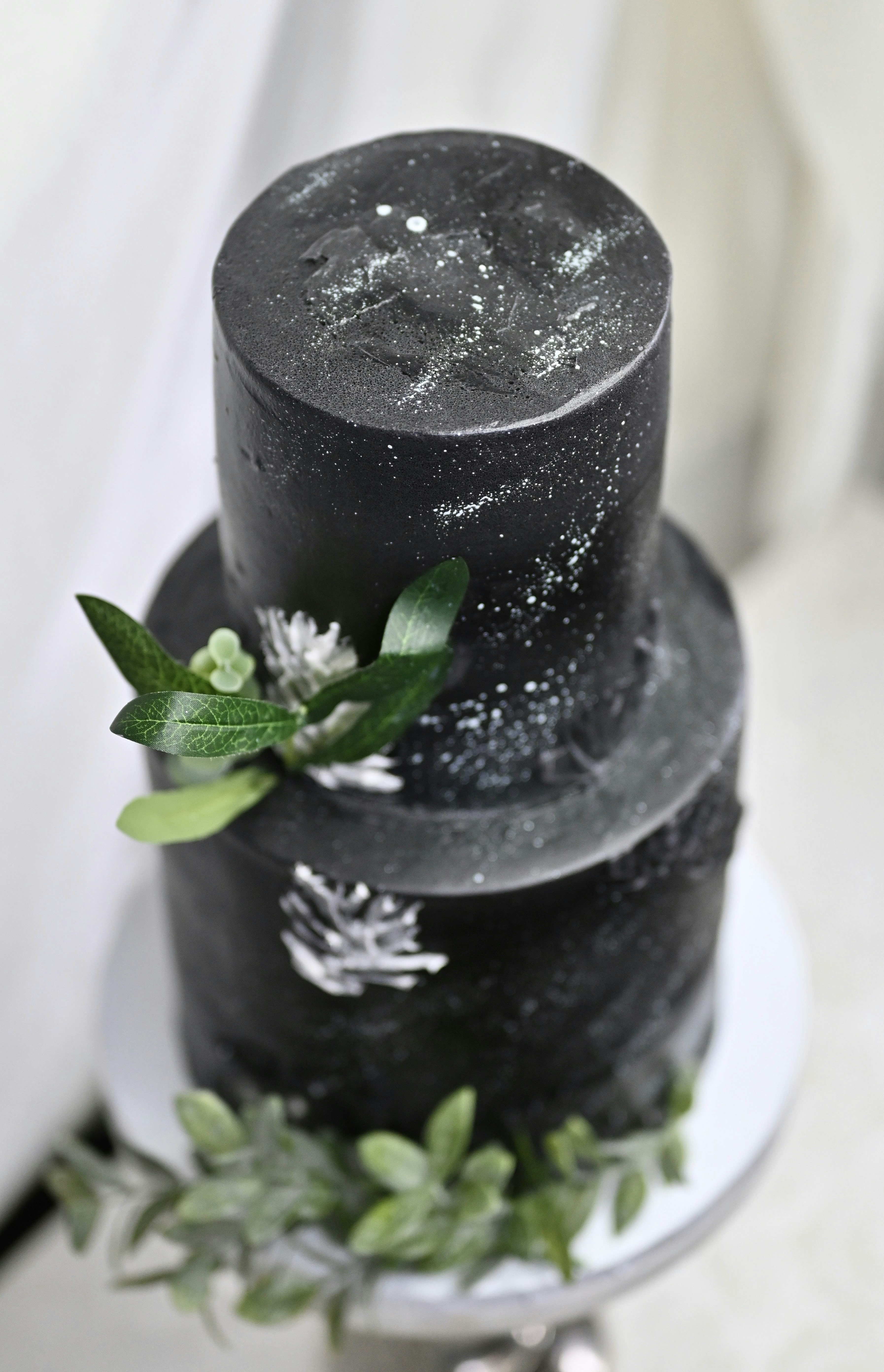 Noir Tiered Cake: Velvet Black with Frosted Dust and Sage Accents