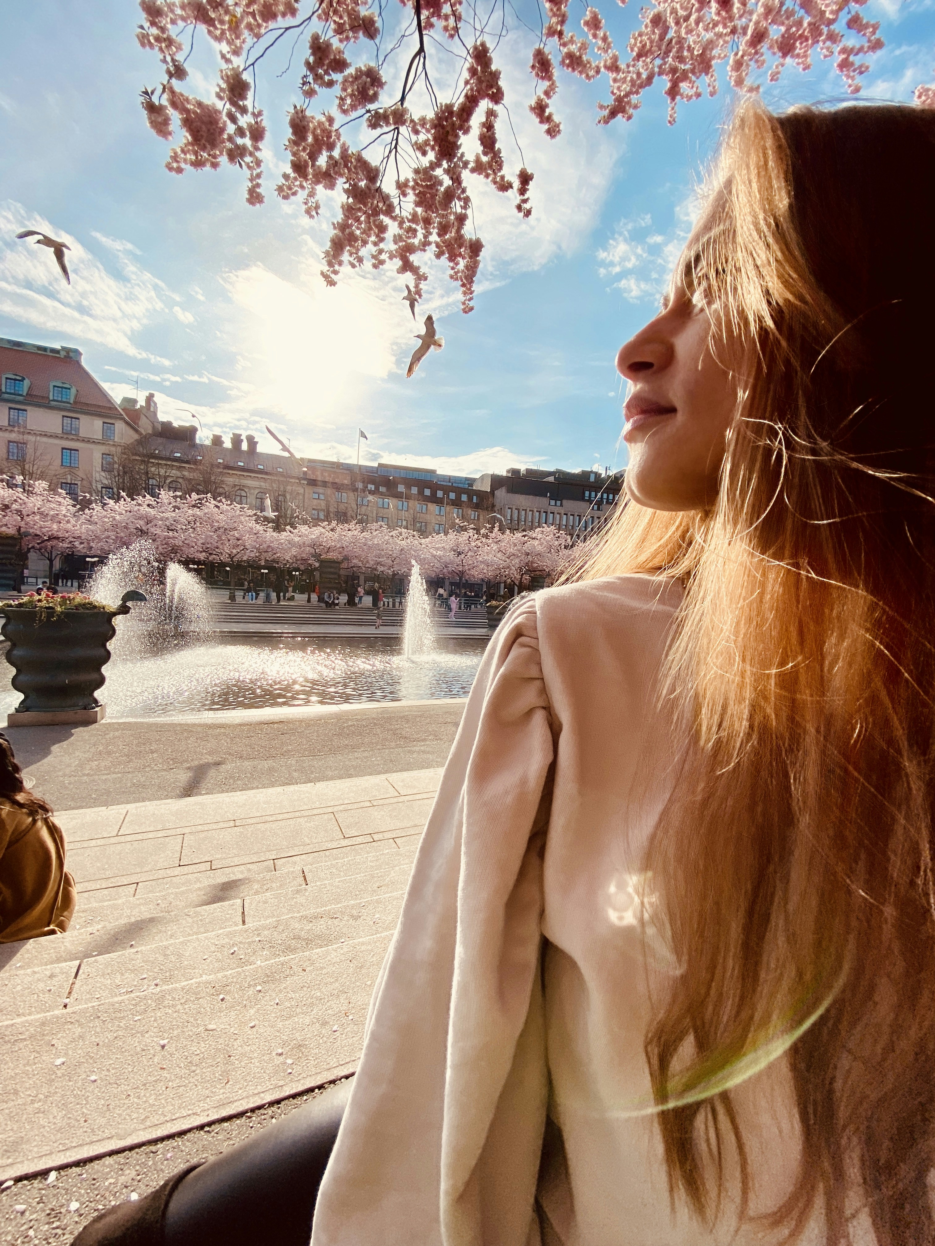 A woman gazes thoughtfully towards a sunlit fountain, surrounded by blooming cherry trees in a vibrant urban park.