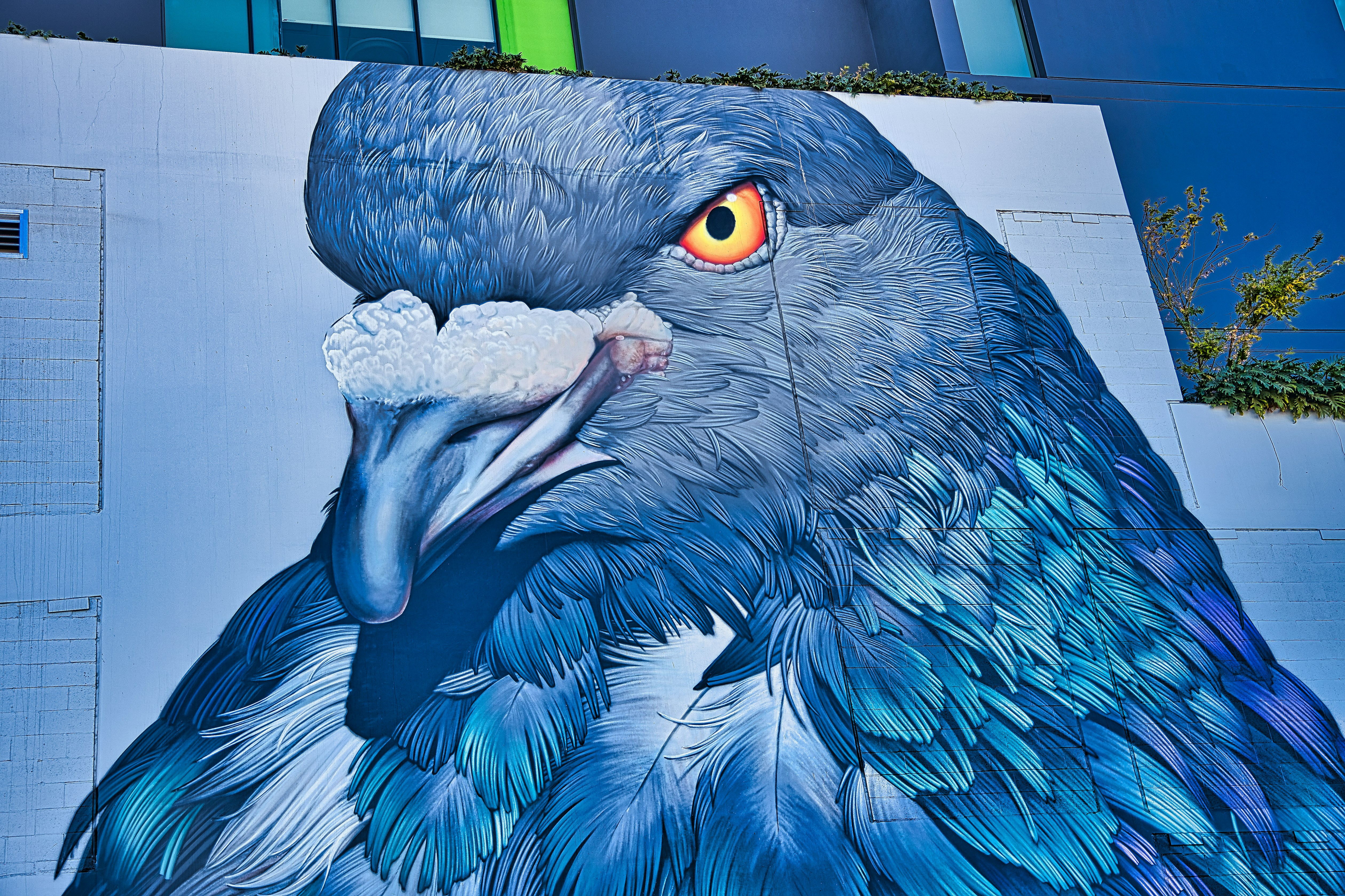 Urban Majesty: Pigeon Mural