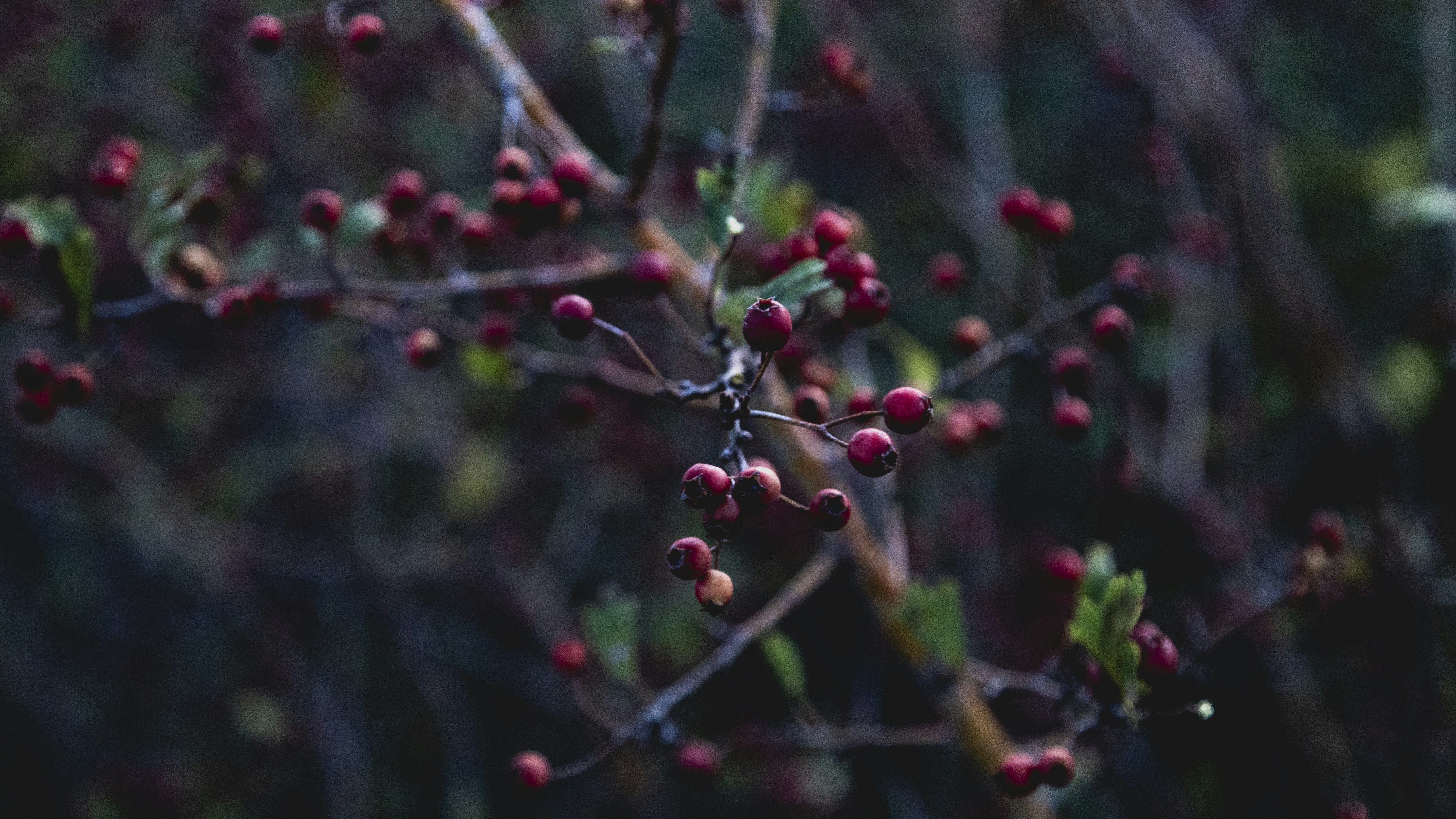 Vardim Photos | Télécharger des images gratuites sur Unsplash