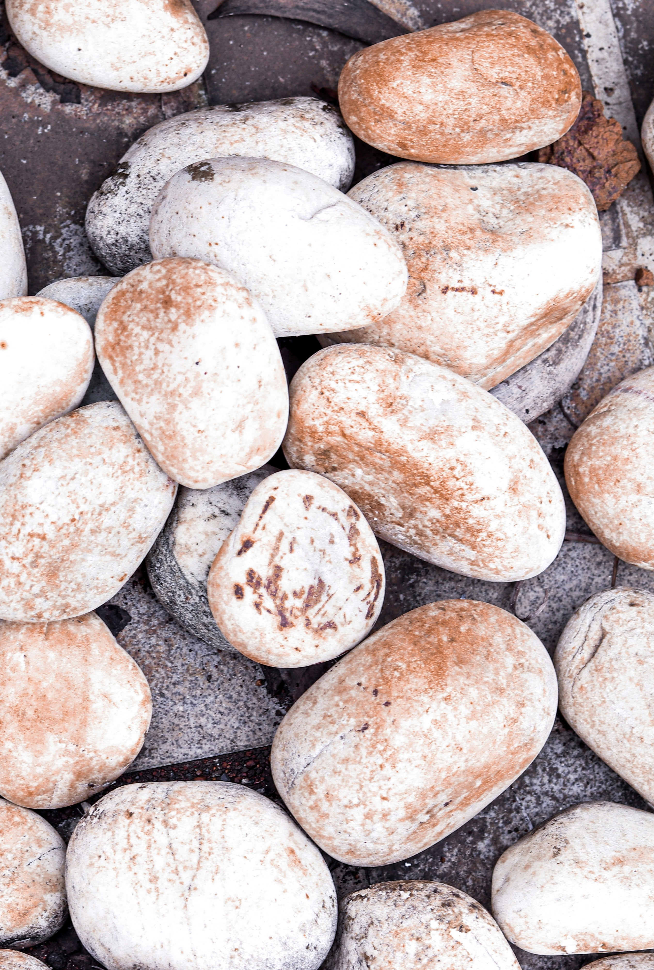 Sun-bleached Pebble Mosaic on a Weathered Surface
