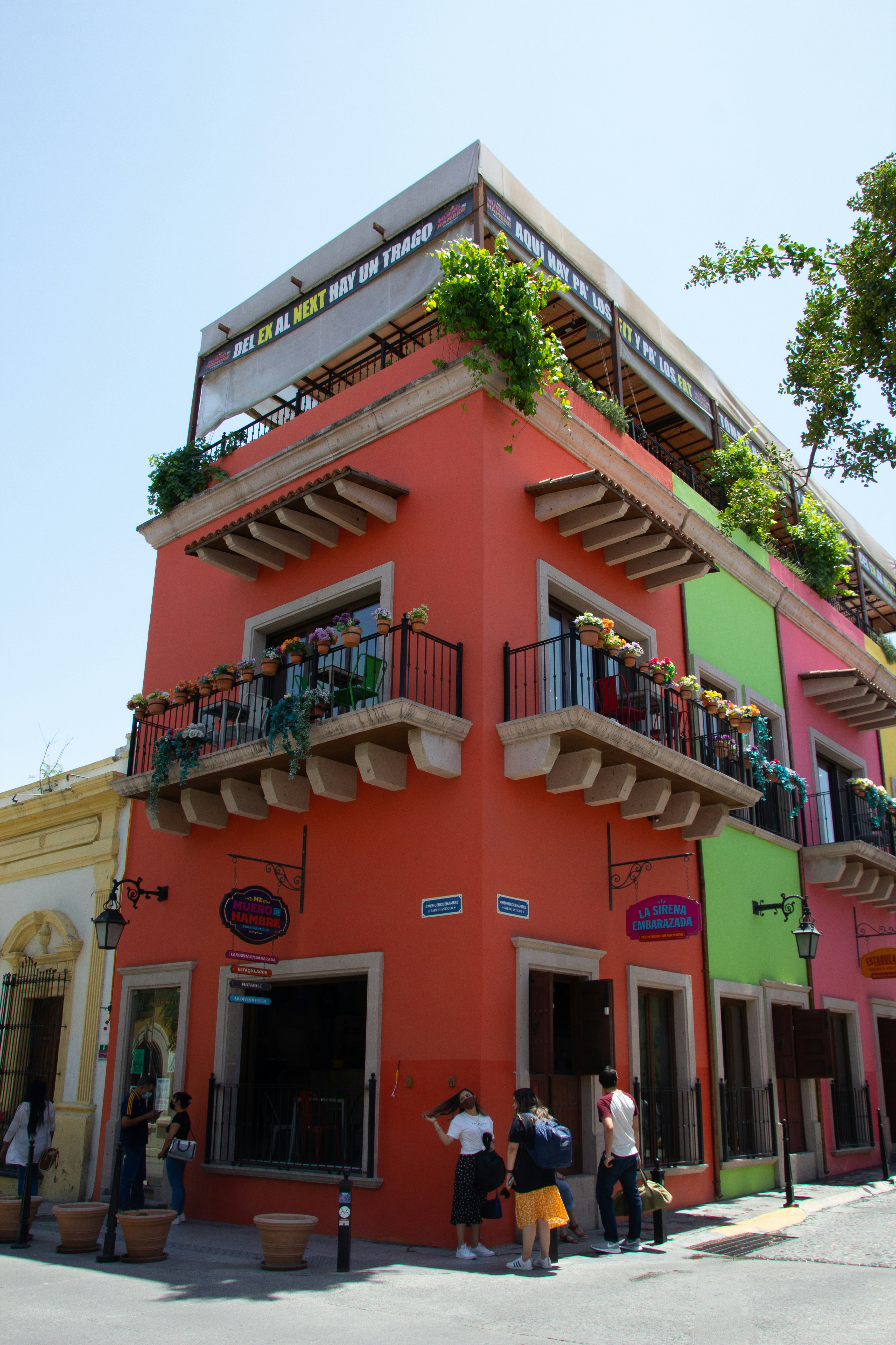 pink and white concrete building