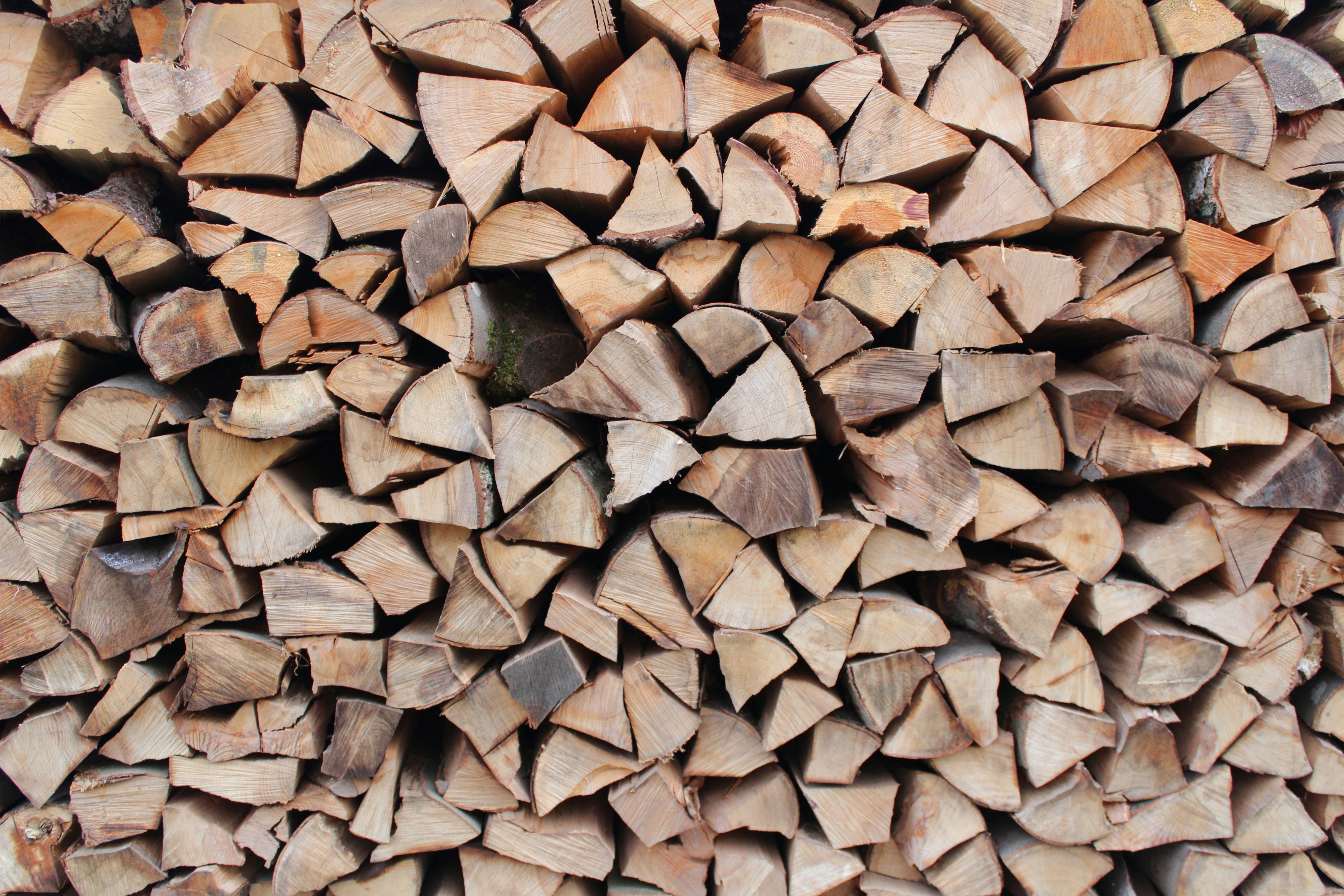 Brown wooden logs during daytime photo – Free Wood Image on Unsplash