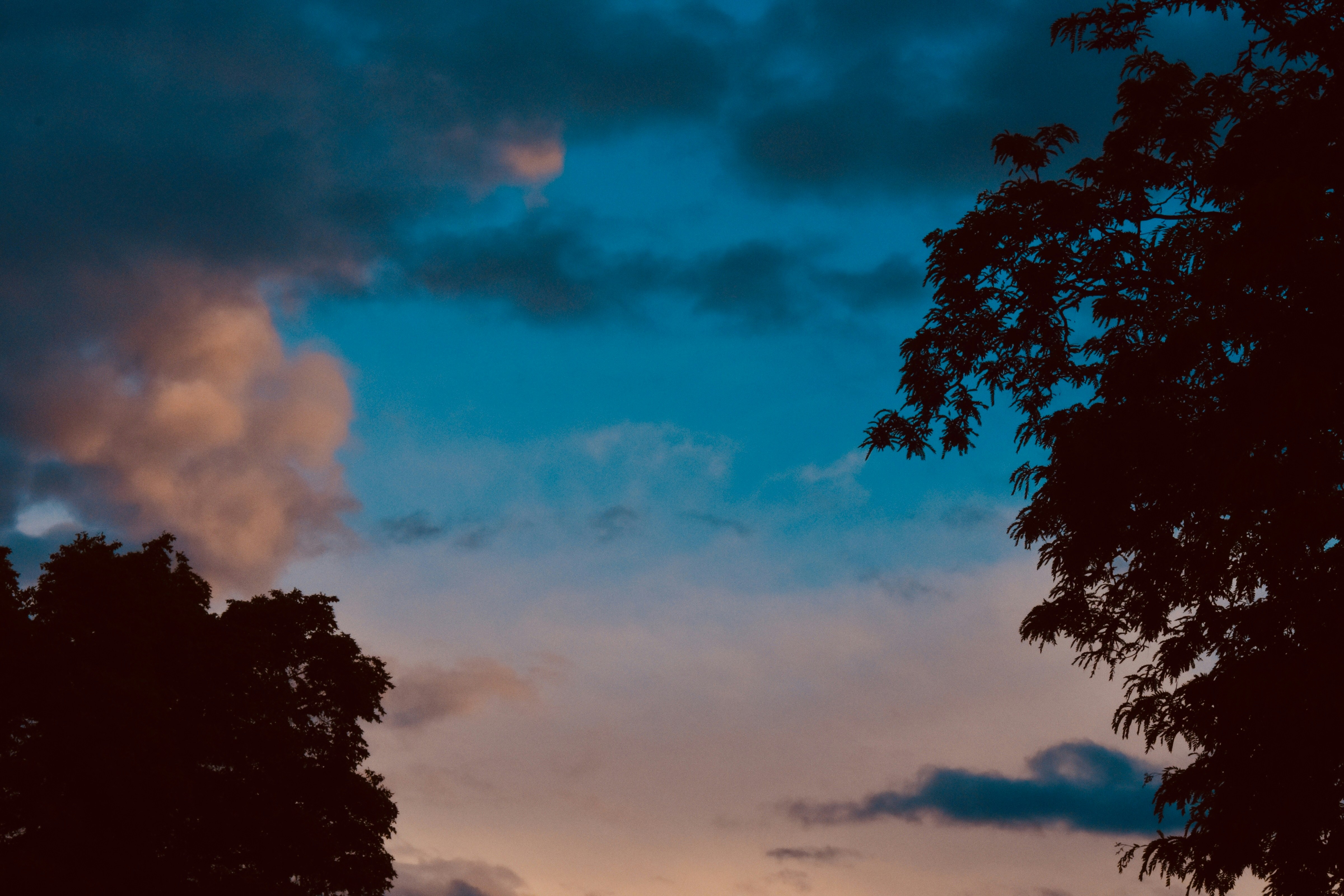 Silhouetted trees frame a serene twilight sky, where soft clouds blend with hues of blue and pink. The tranquil scene invites reflection.