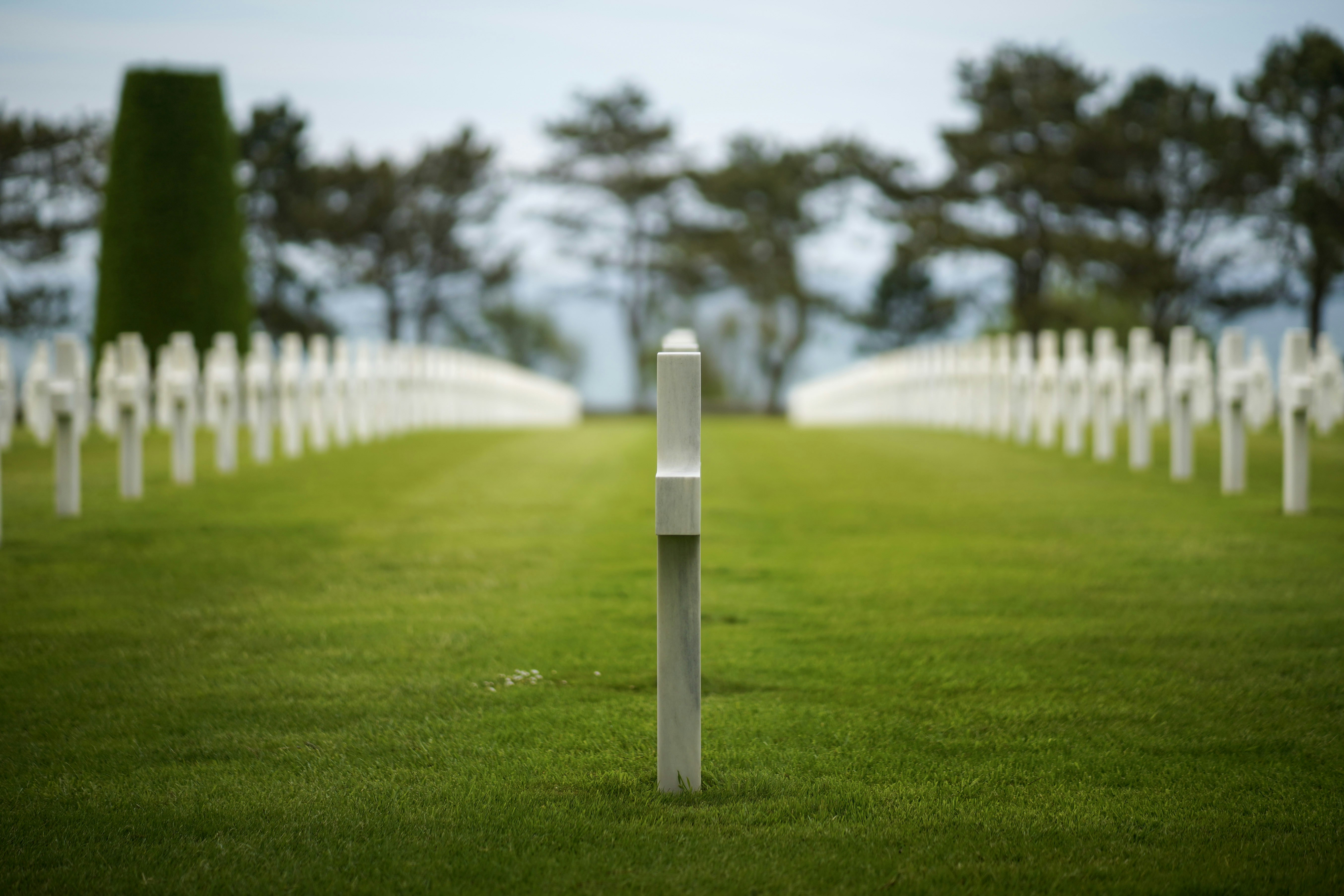 The Central Marker: A Lone Post Framed by Rows of Crosses