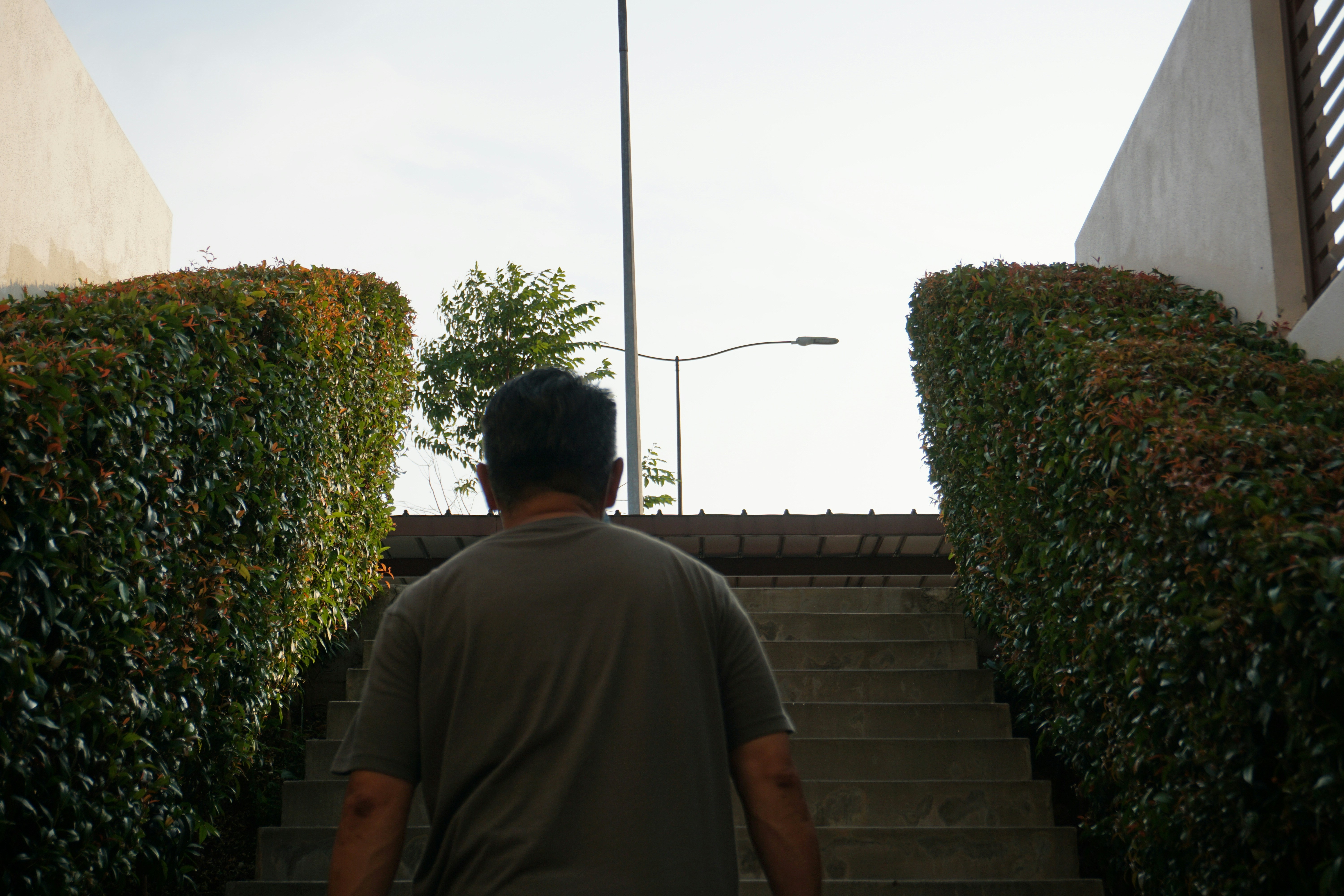 A solitary ascent: silhouette traveler rising toward daylight