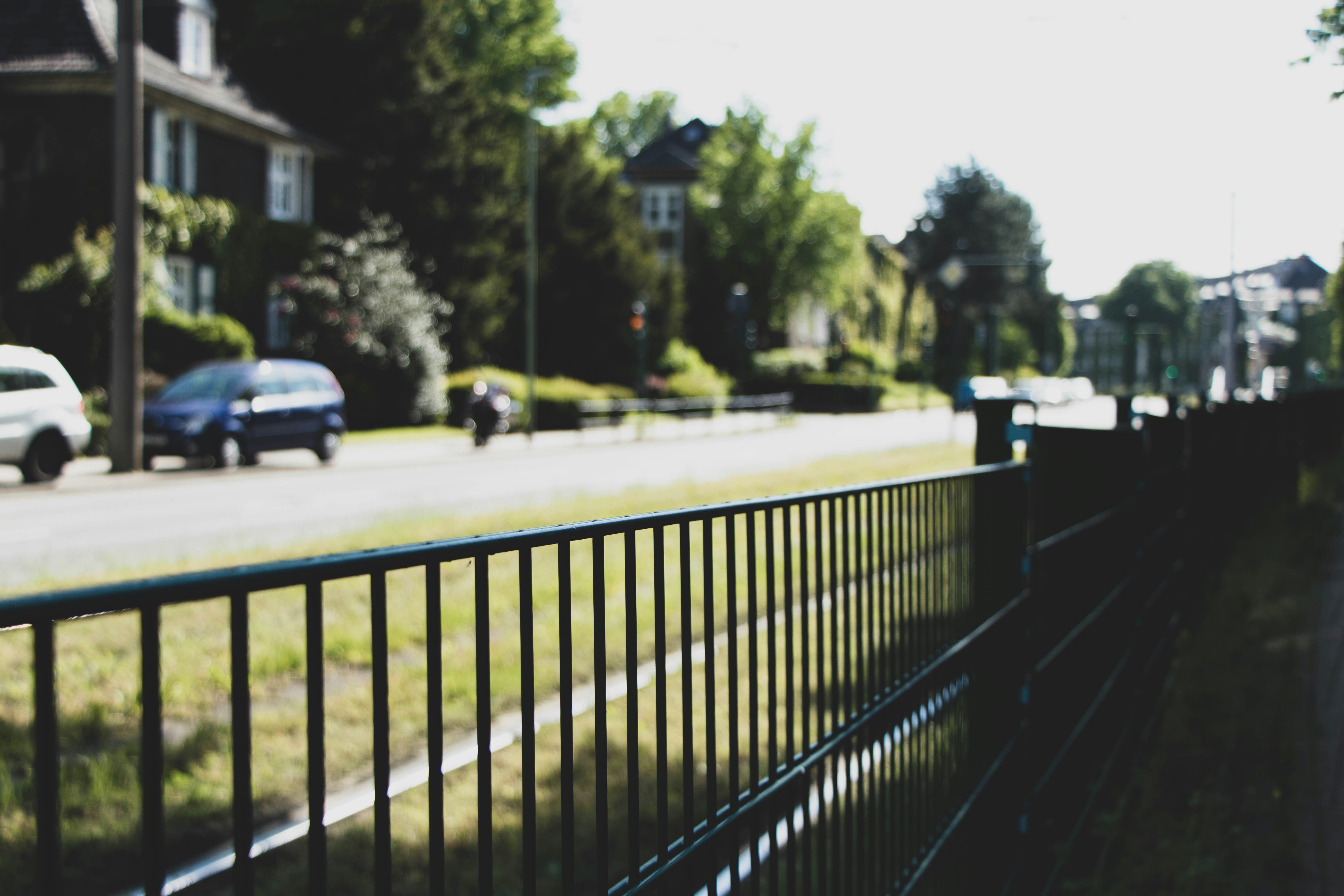 black metal fence near green trees during daytime