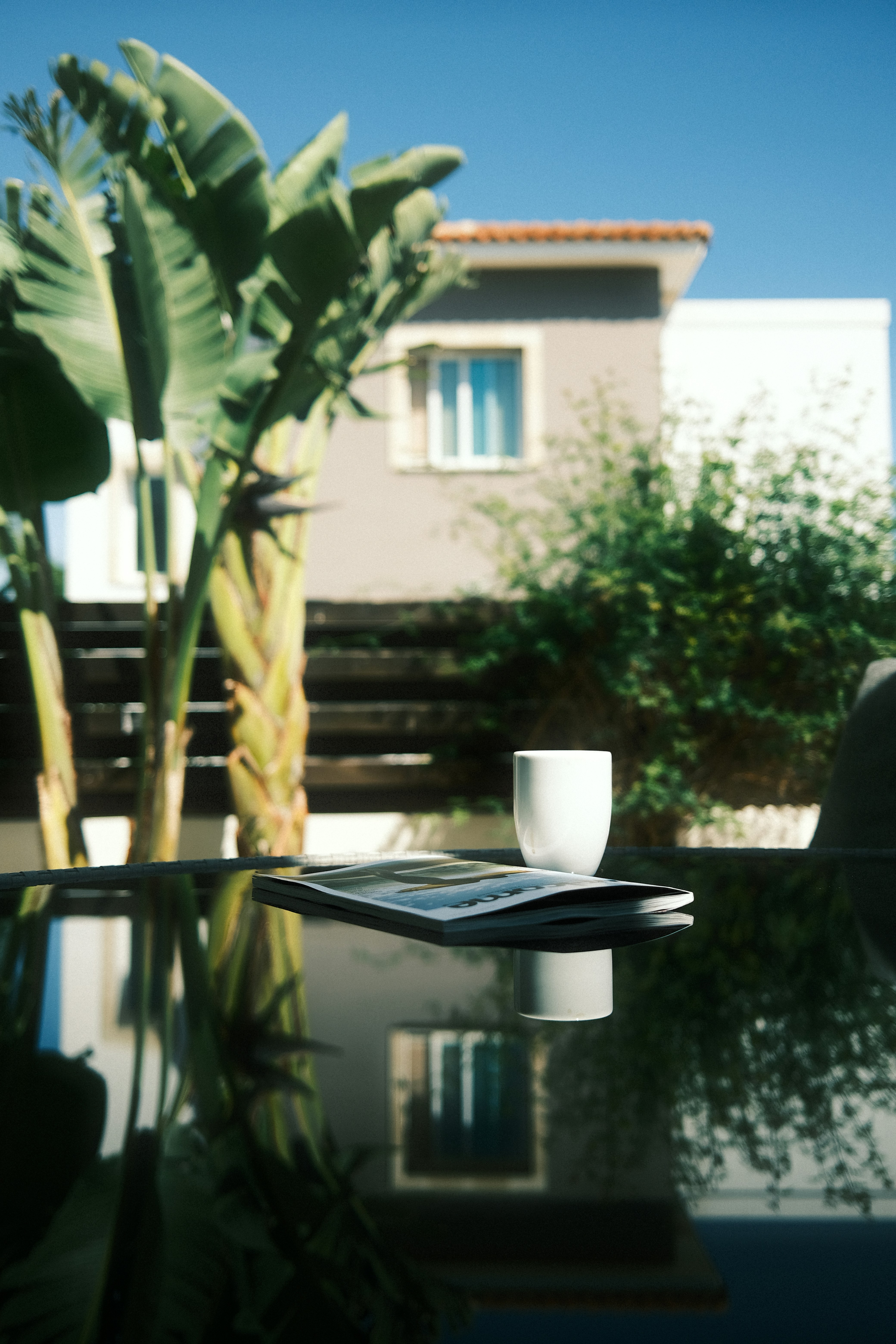 White Cup on a Glass-Top Patio: Reflections and Quiet Morning Light