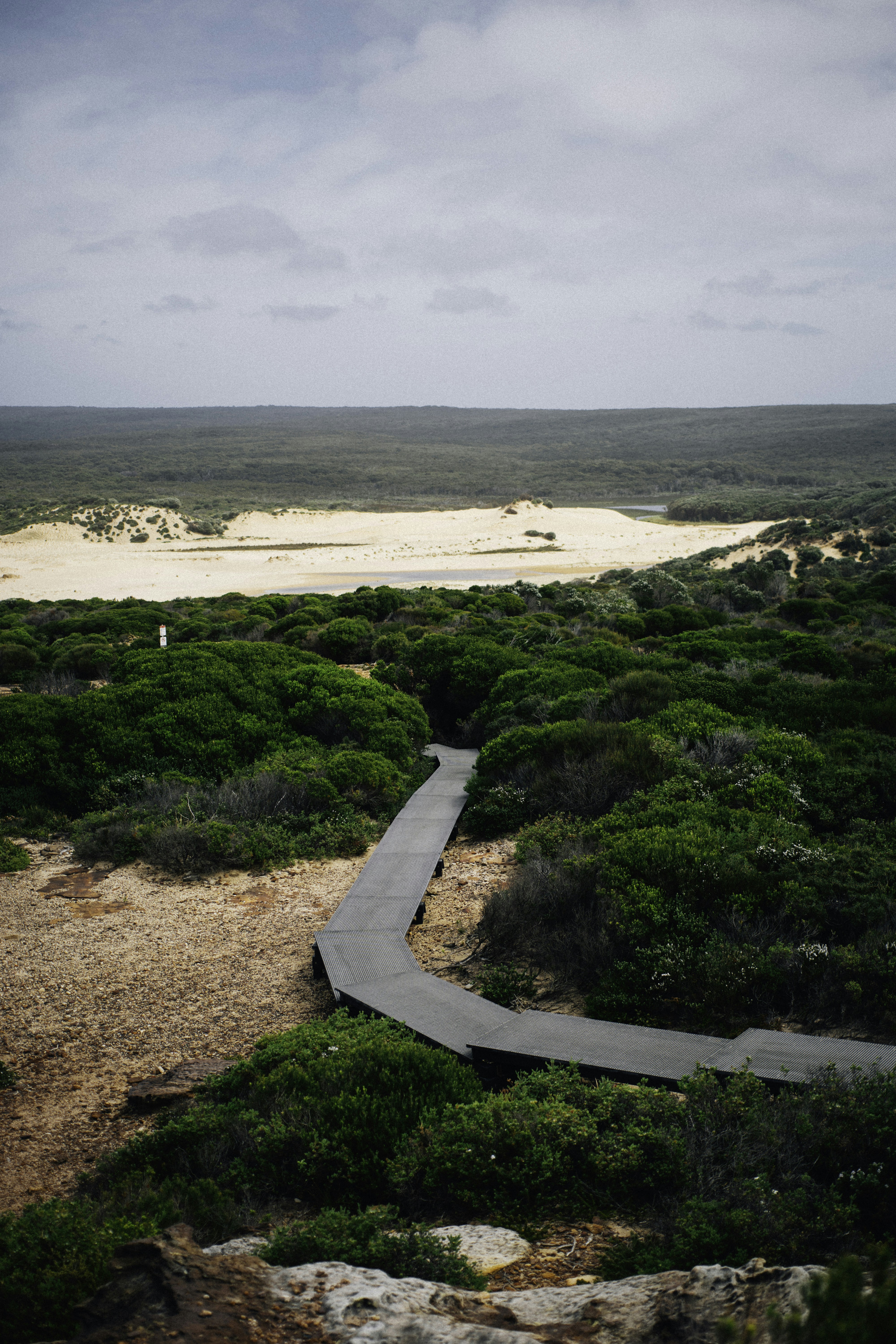 Deserted Boardwalk through Coastal Scrub toward Dune Beach