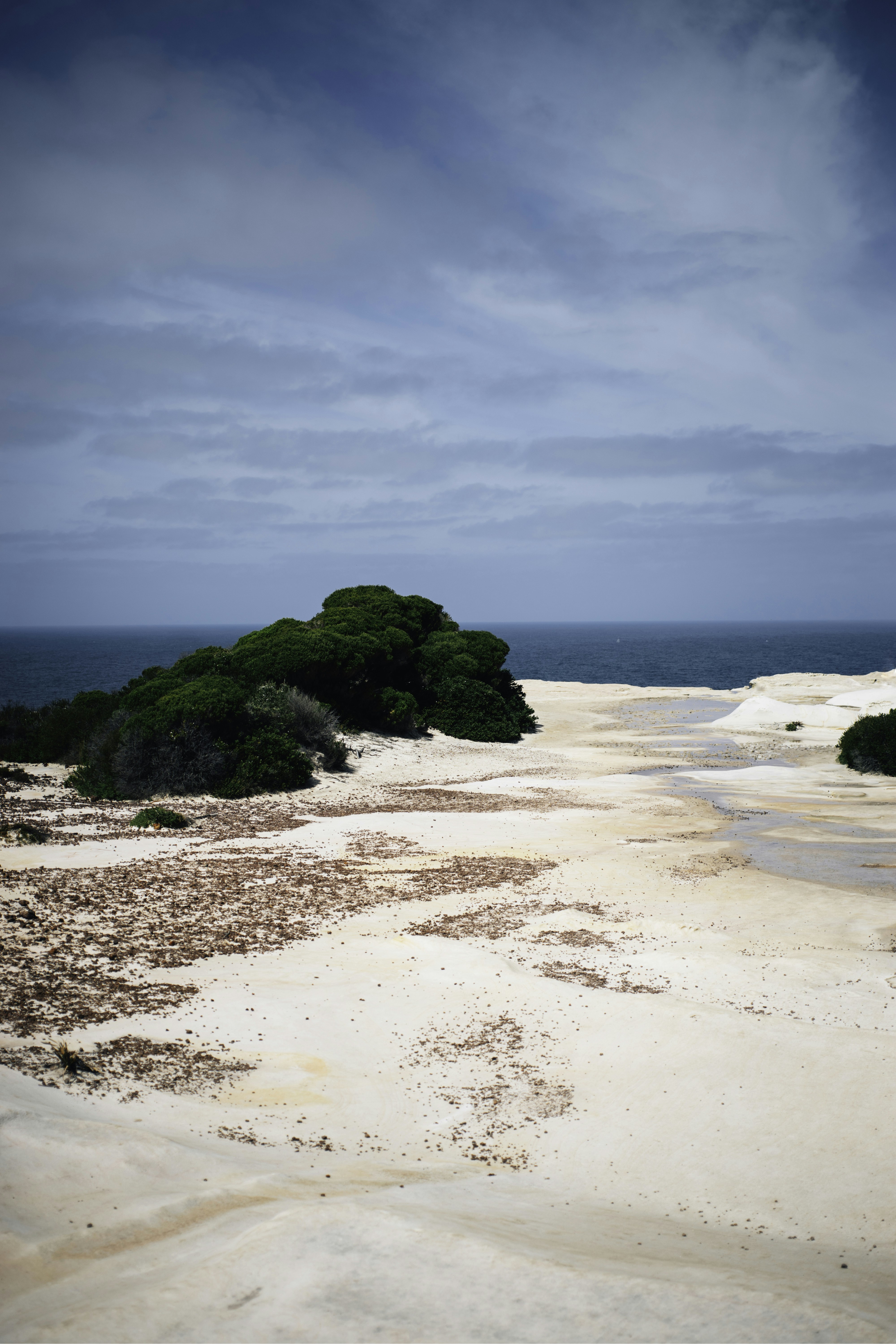 Sculpted dune near whispering sea under a wide blue canopy