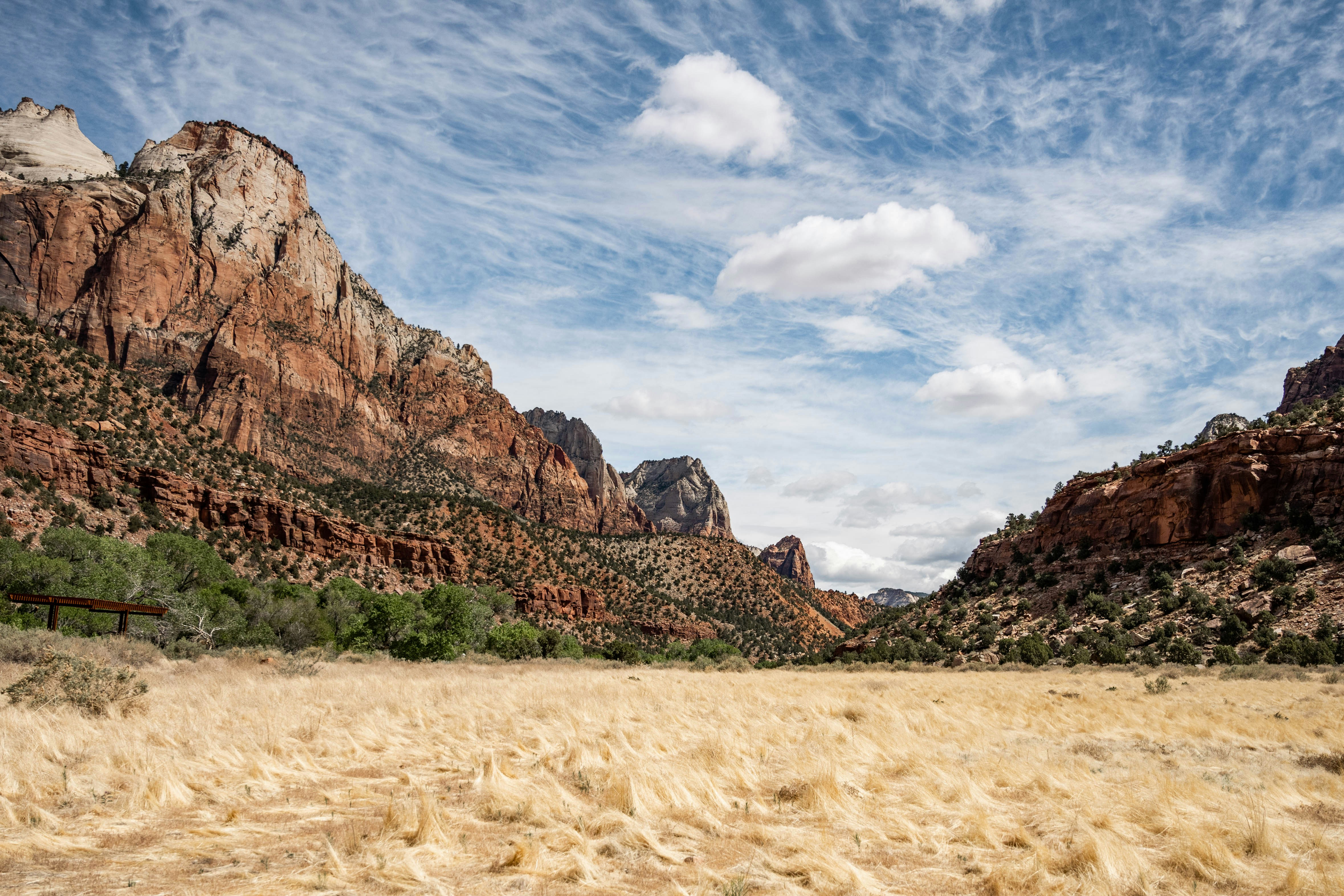 Expansive field of golden grass framed by towering red rock cliffs and a dynamic, cloud-filled sky.