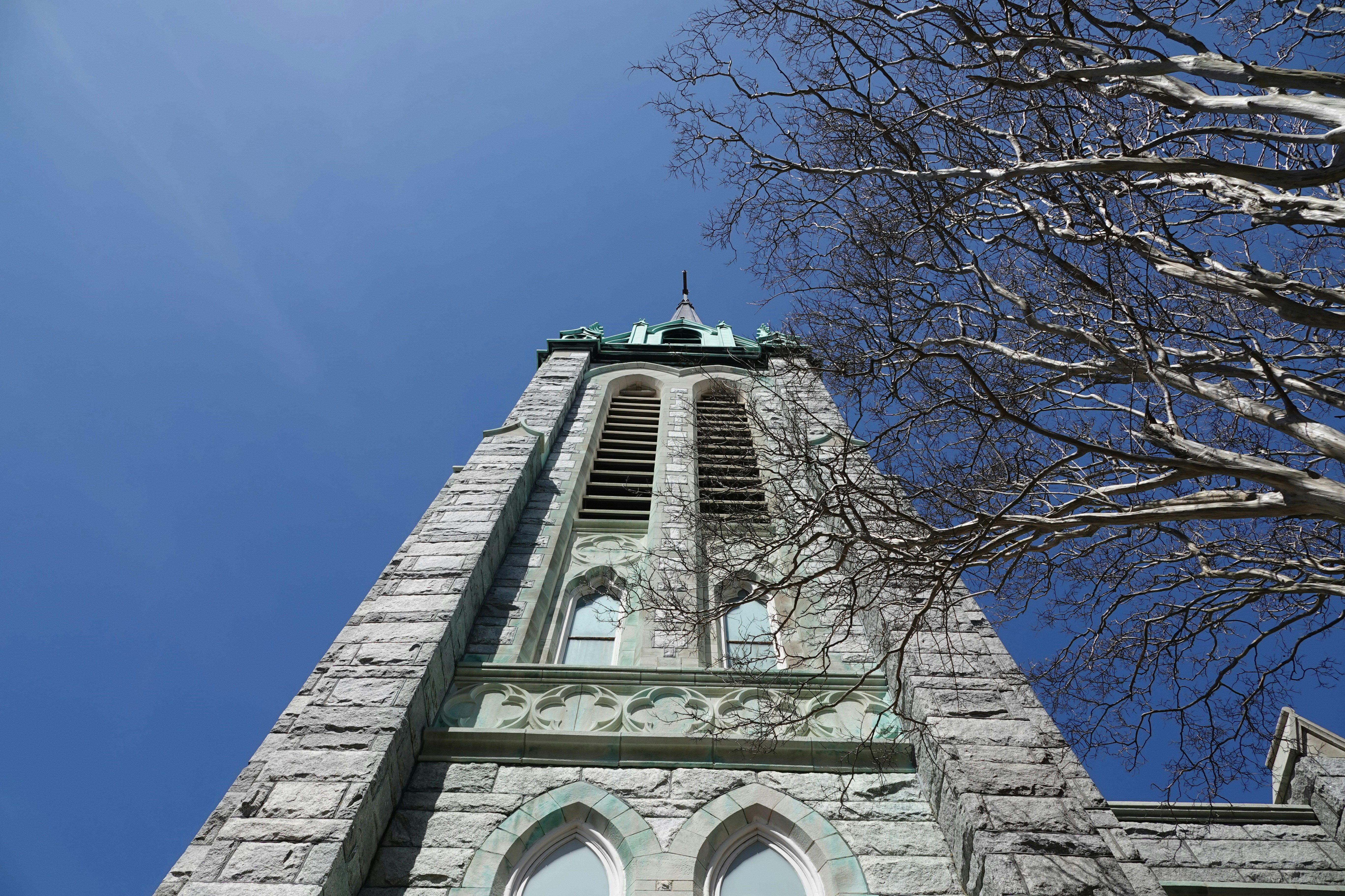 Tia Cunningham (@myelobutterfly) | Unsplash Photo Community