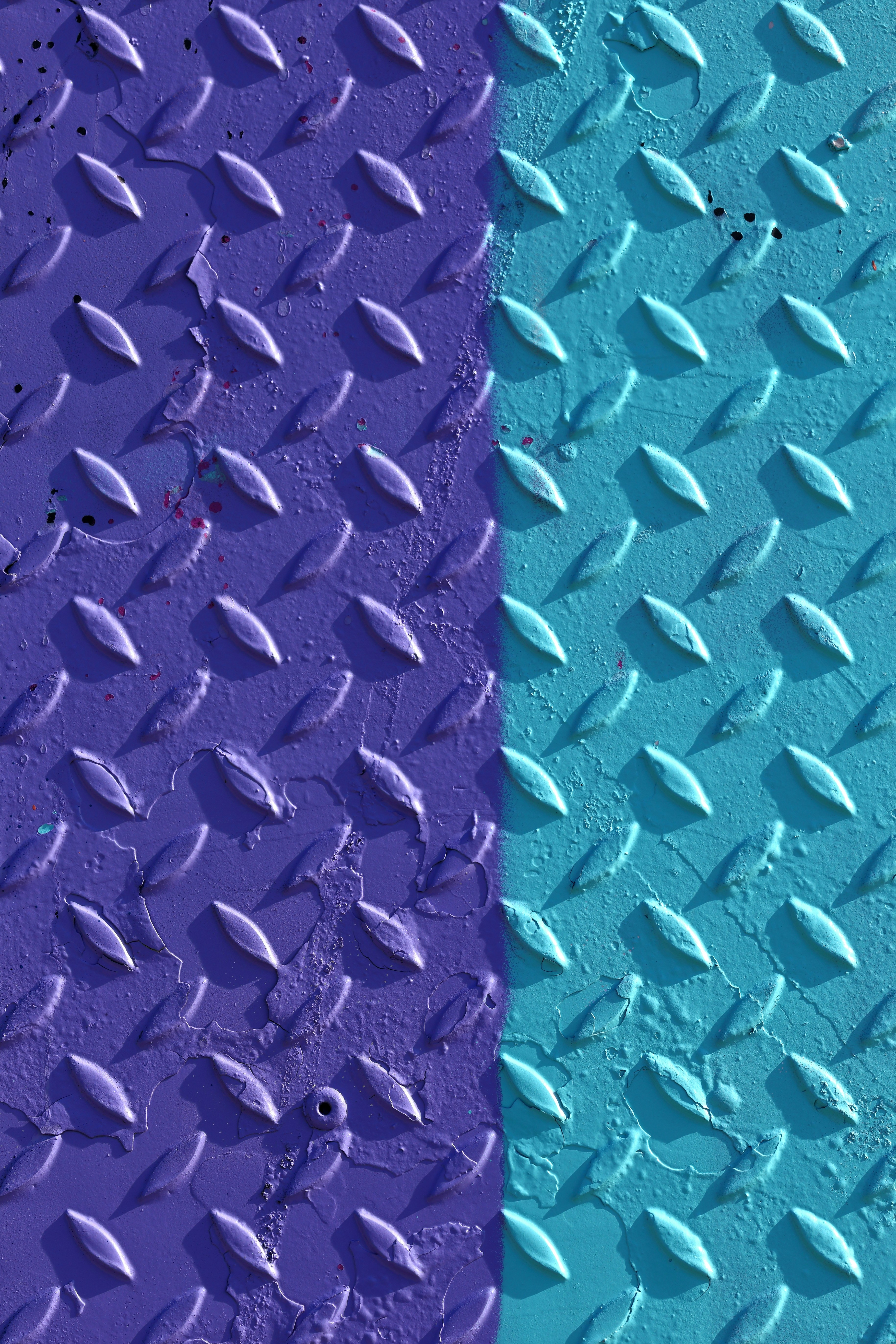 black and white bird on blue textile