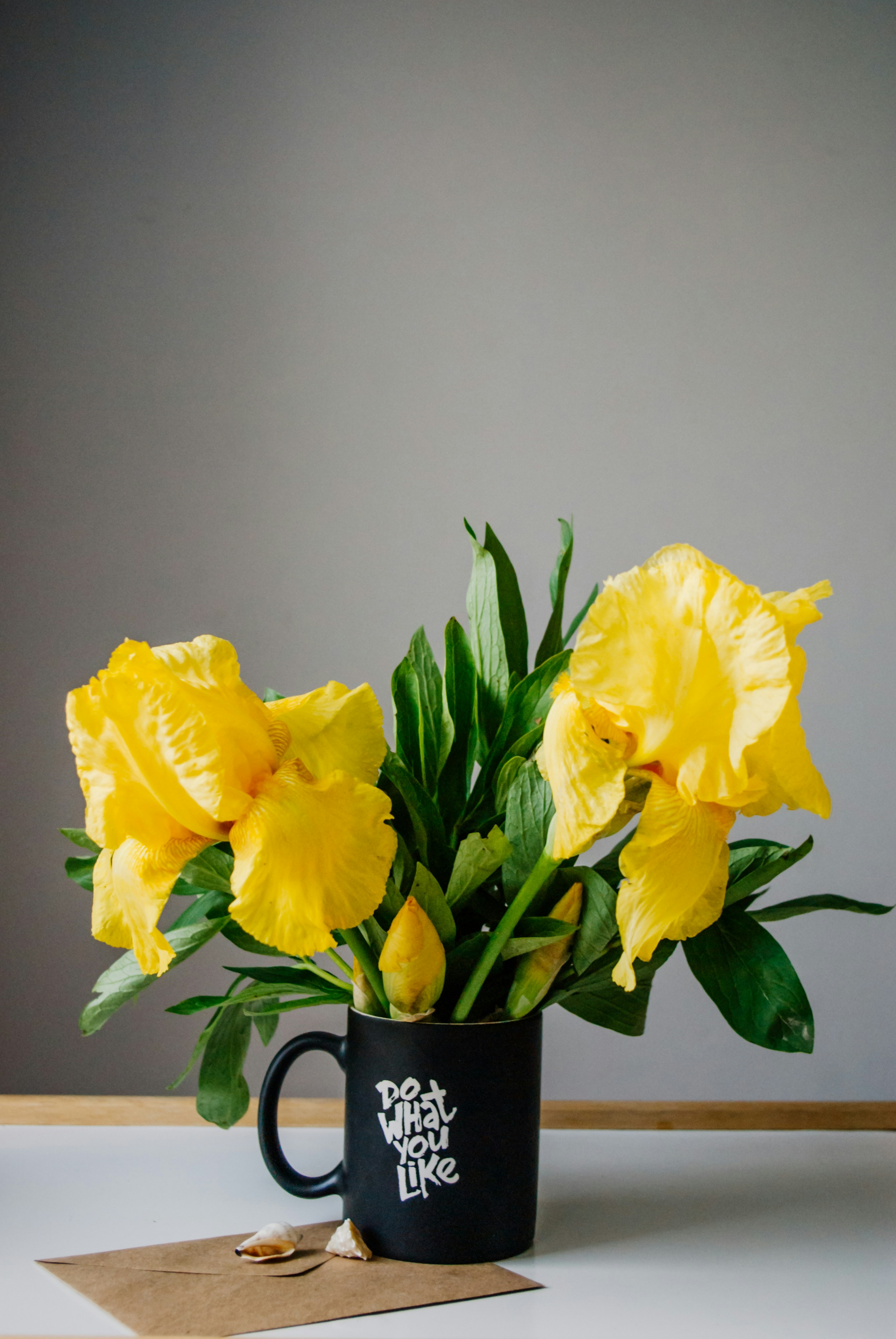 A bouquet of bright yellow irises arranged in a black mug with an inspirational message, set against a soft gray background.