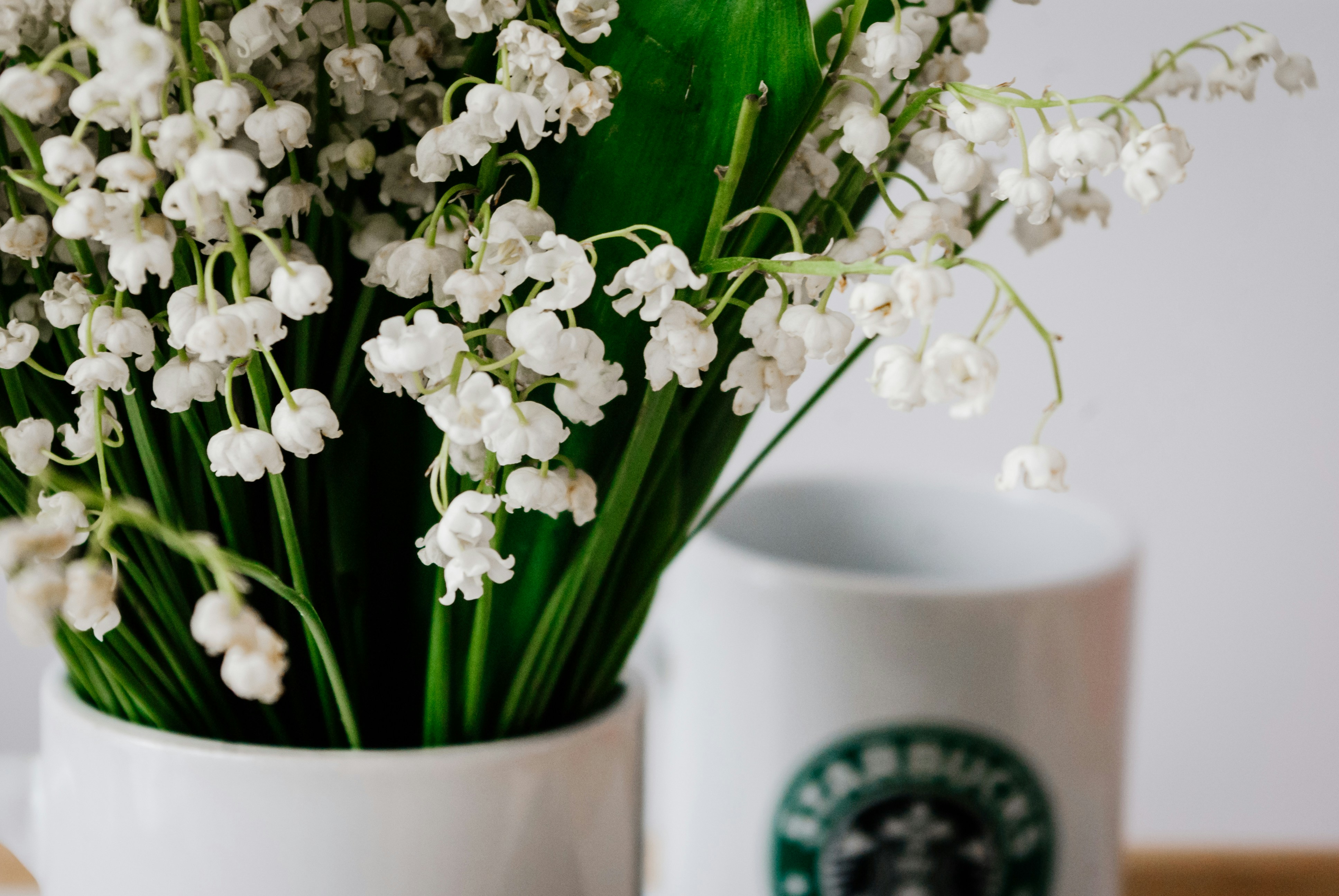 Whispering Bells: Lily of the Valley Framed by a Blurred Café Mug