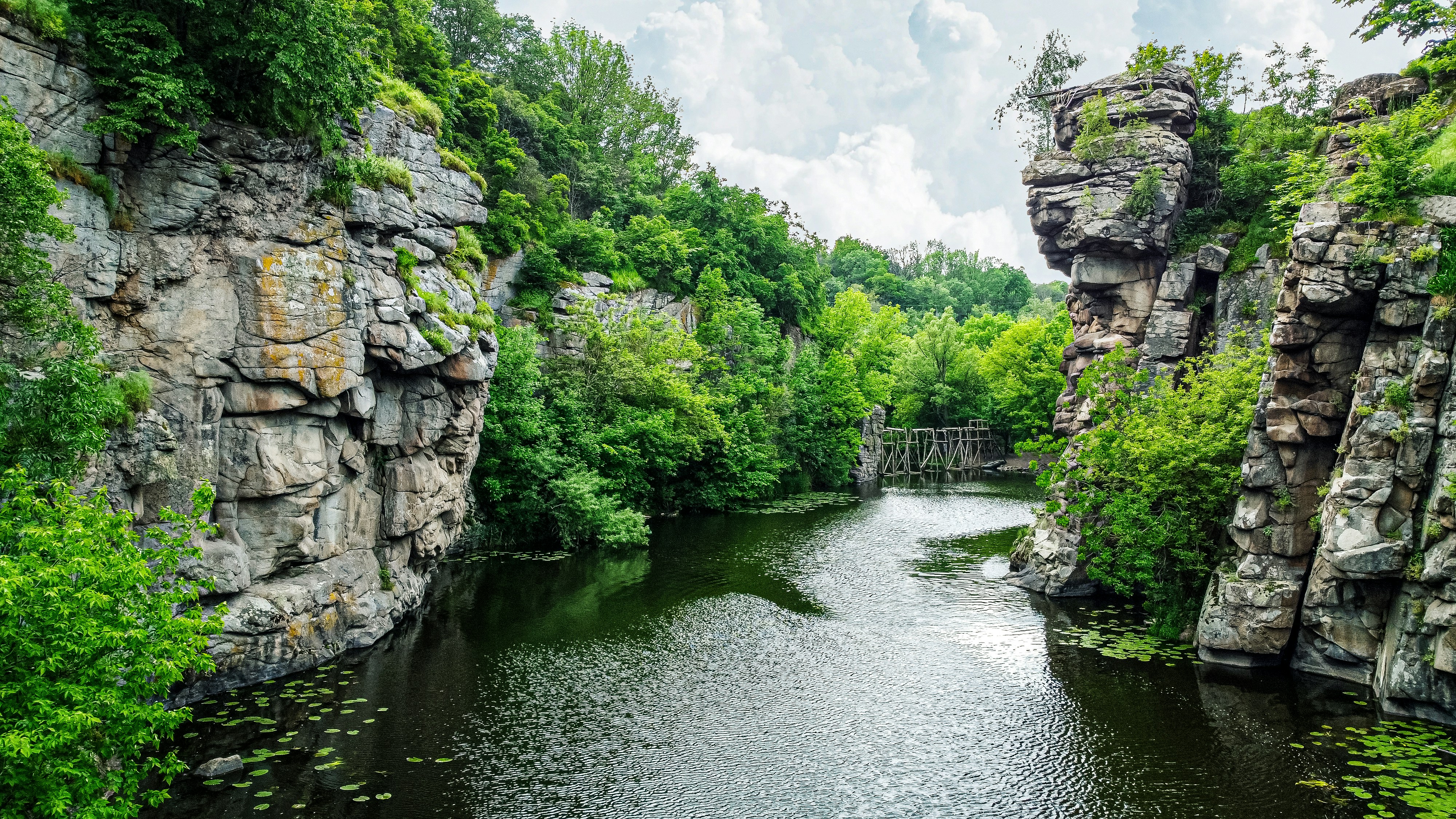 Green trees beside river during daytime photo – Free 39rx+c4 буки Image ...