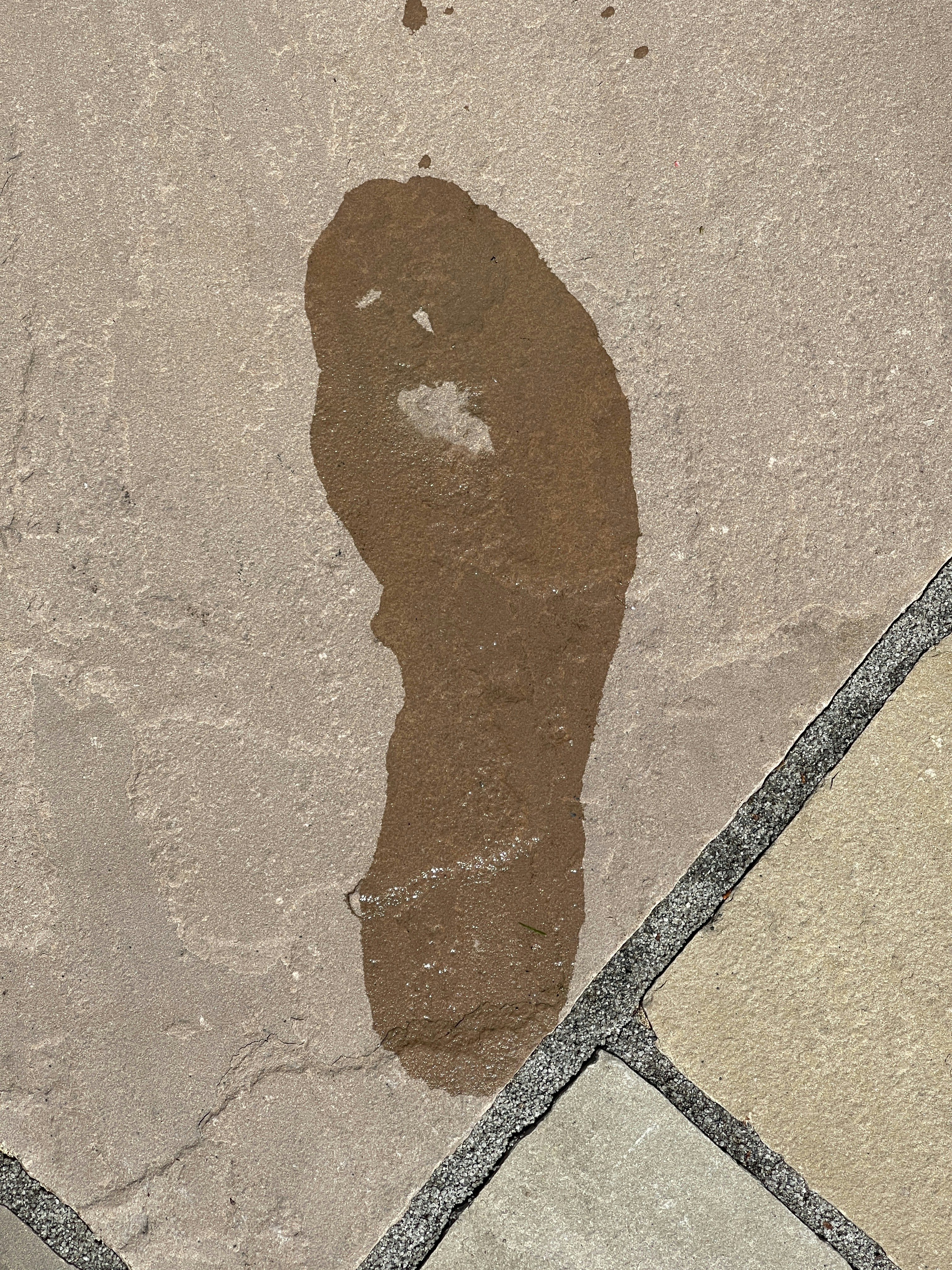 Pebble-gray Terrace: A Footprint Among Footpath Stones
