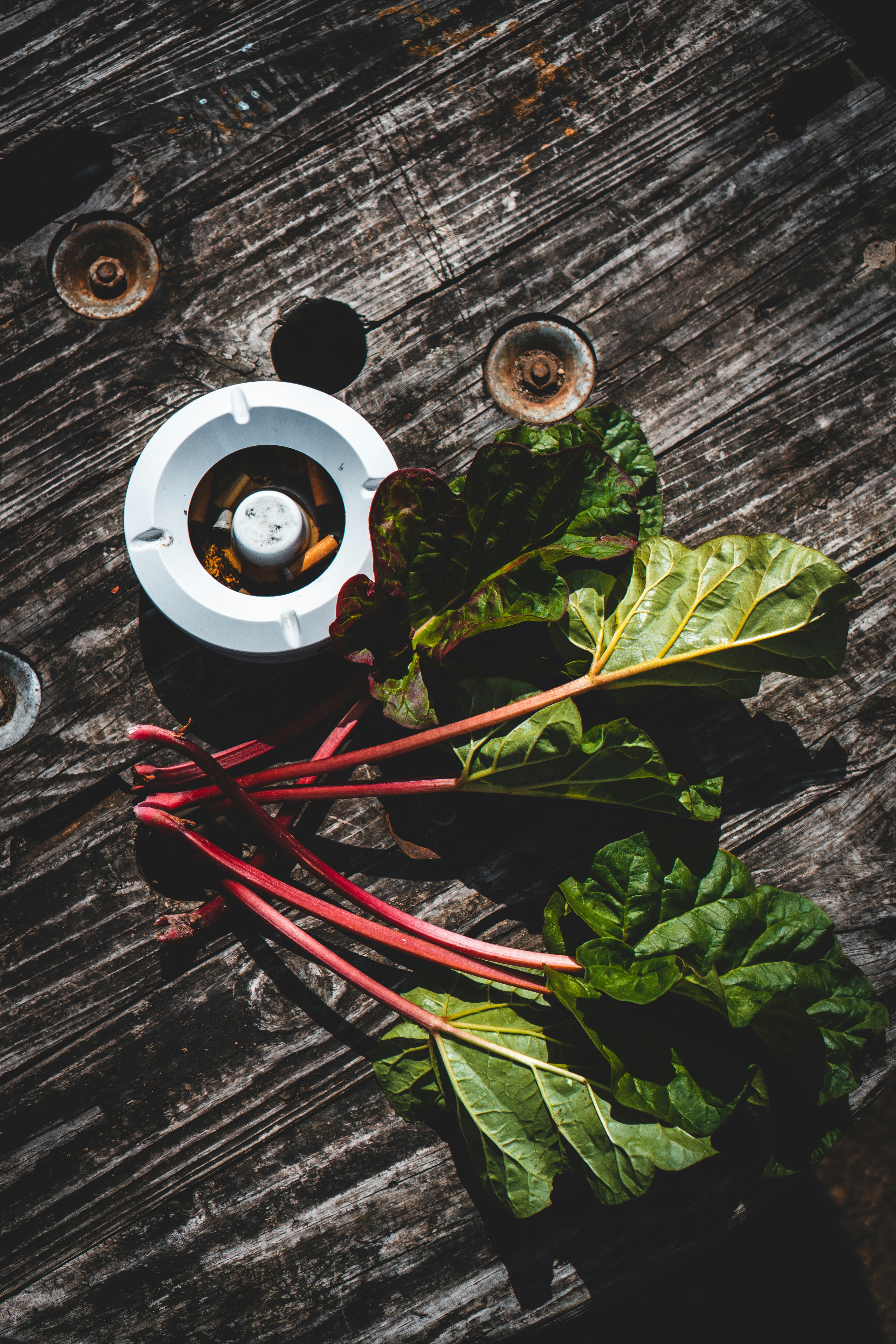 Crimson Rhubarb on Weathered Wood: A Circular White Accent in a Rustic Still Life