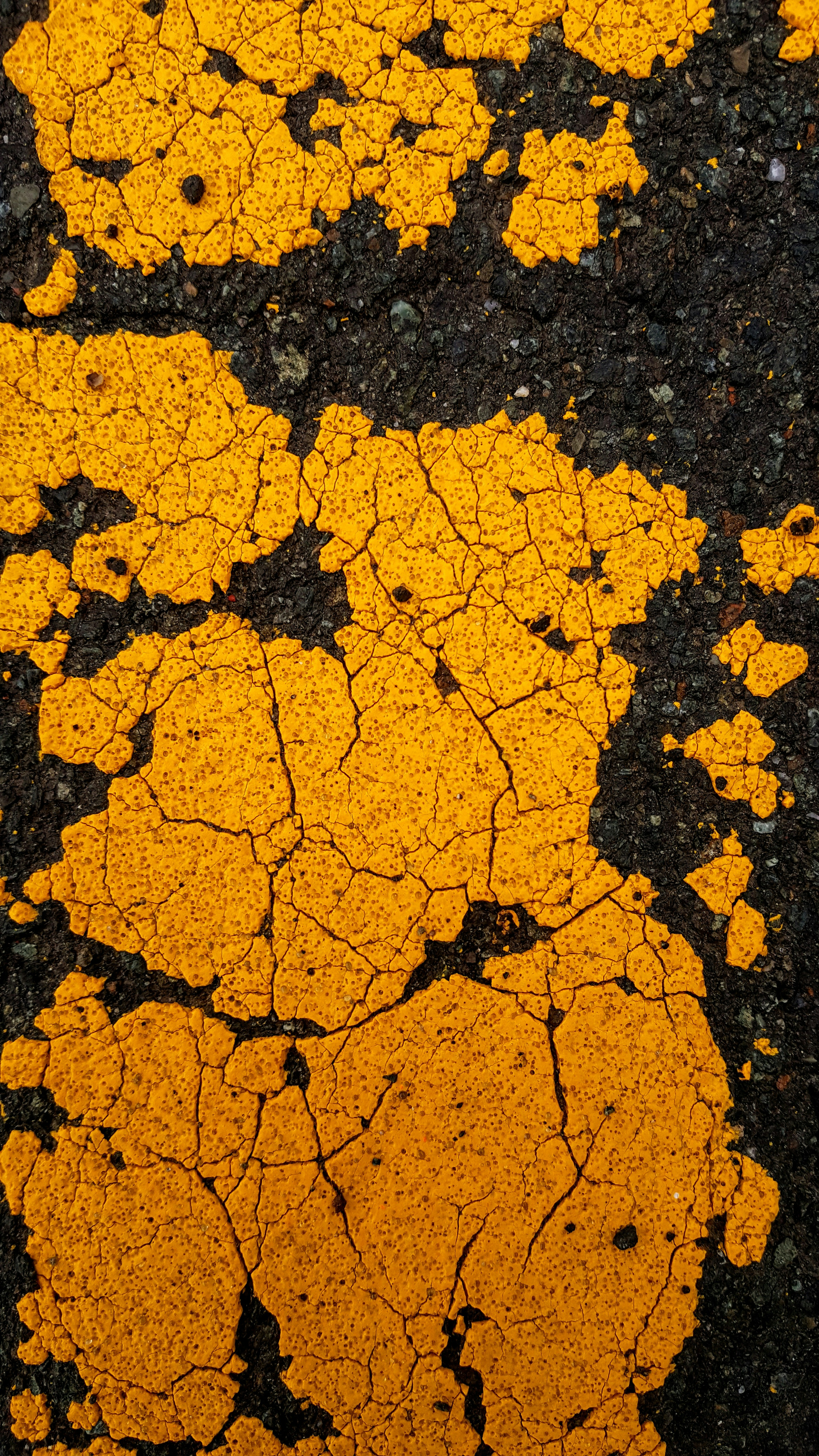 Muhammad owsama (@owsama) | Comunidad de fotos de Unsplash