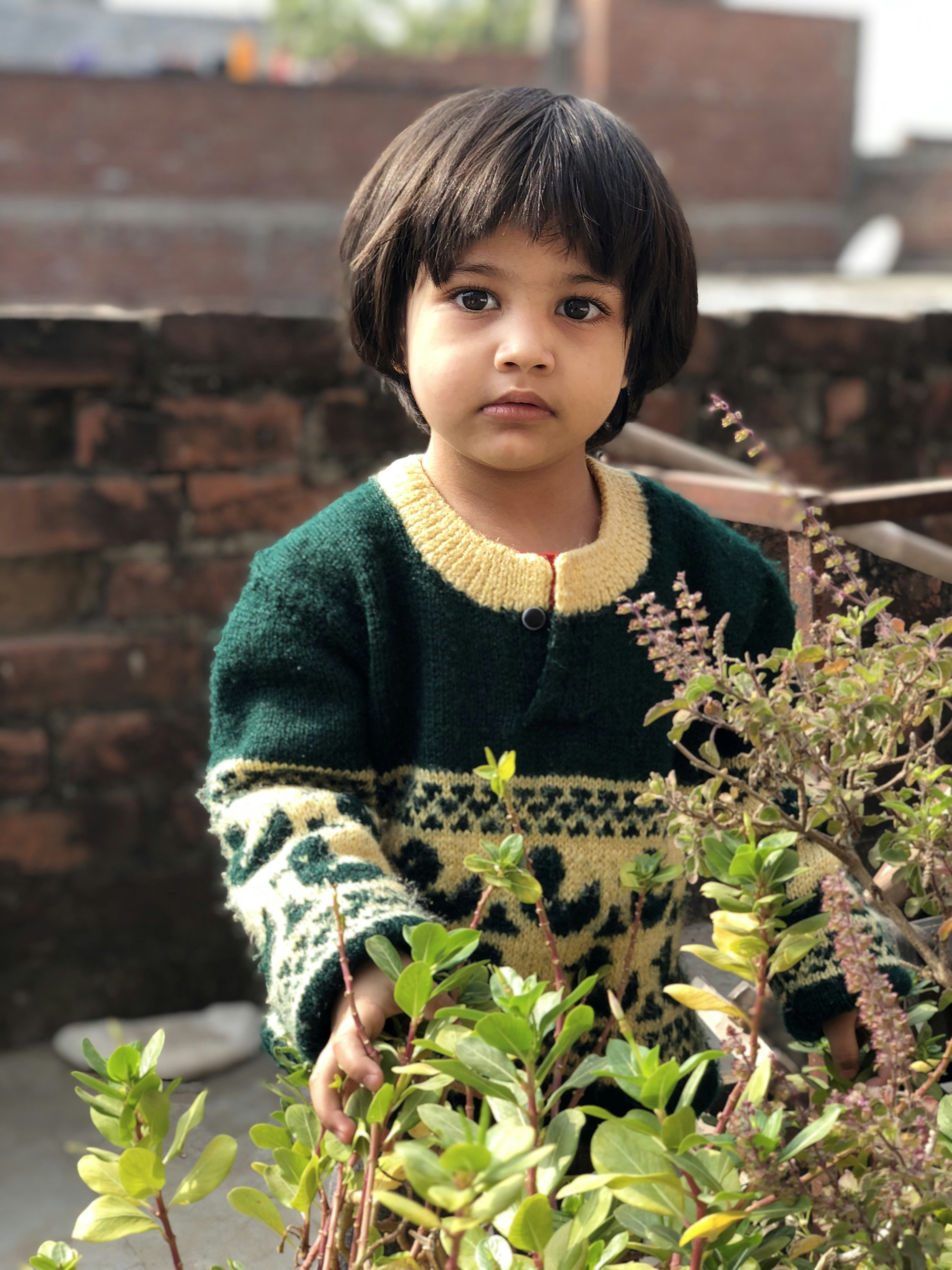 Young child in a colorful sweater stands among lush greenery on a rooftop, gazing thoughtfully into the distance.