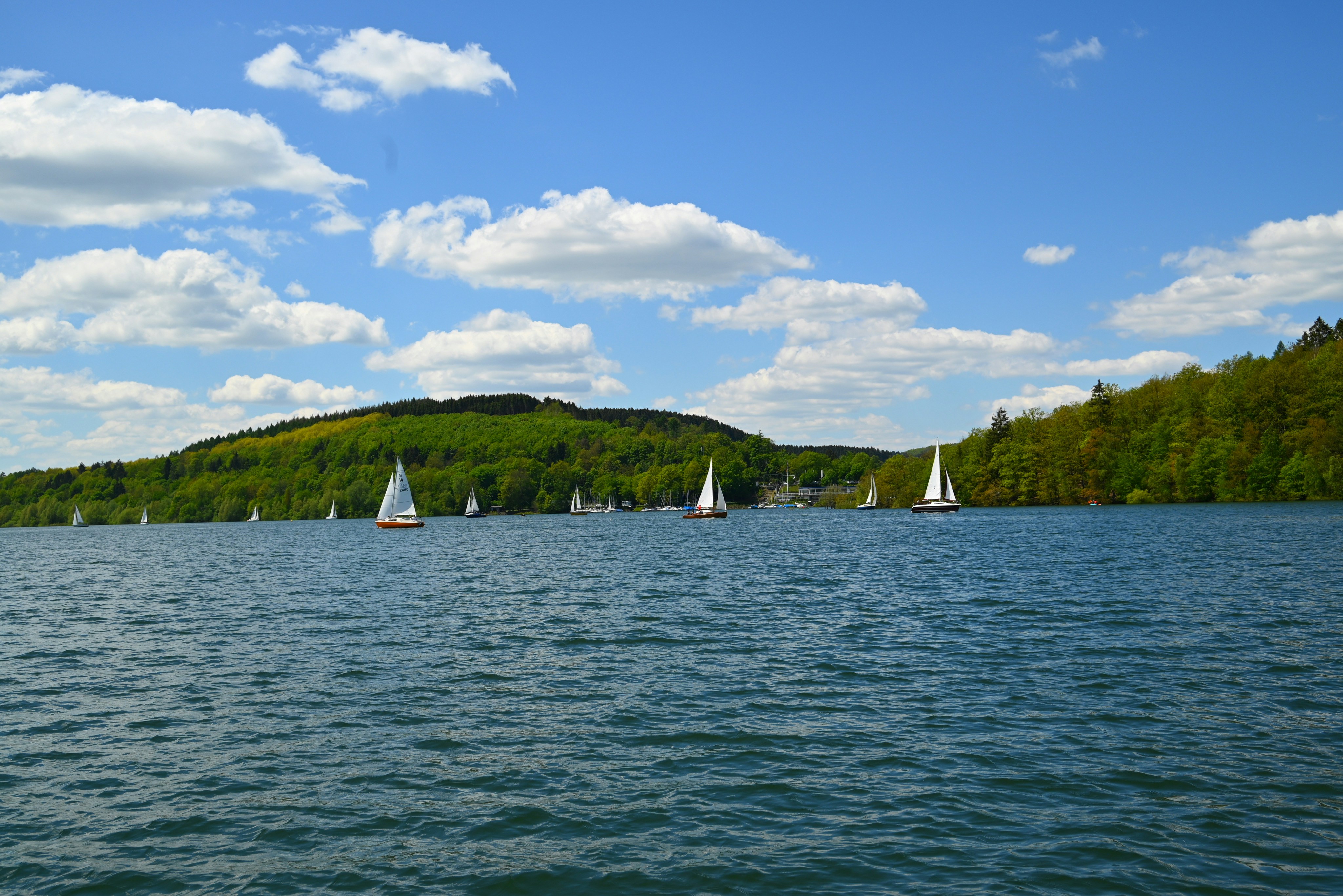Multiple sailboats glide across a serene lake, framed by lush green hills and a vibrant sky dotted with clouds.
