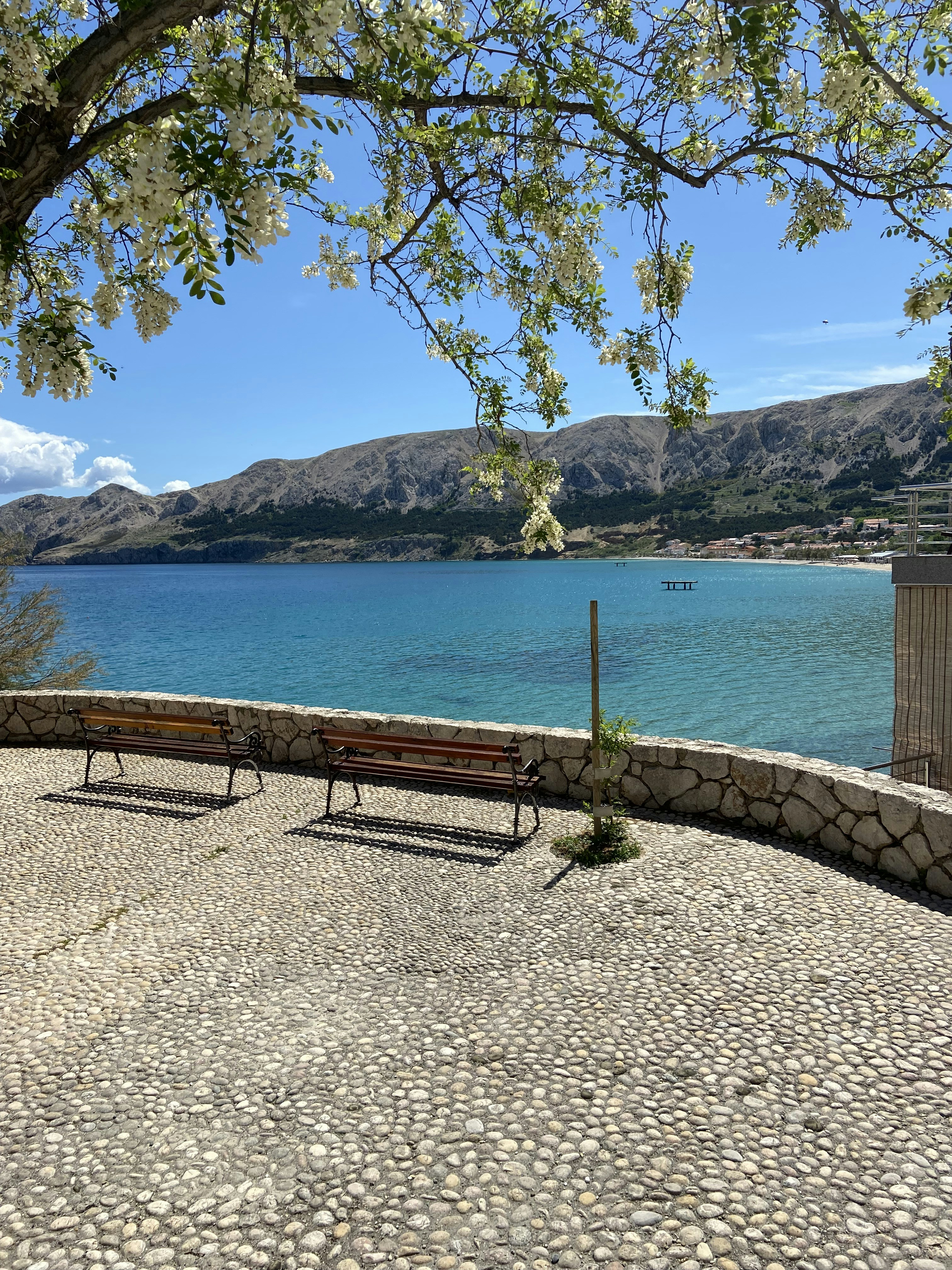 Two Benches, One Serene Bay