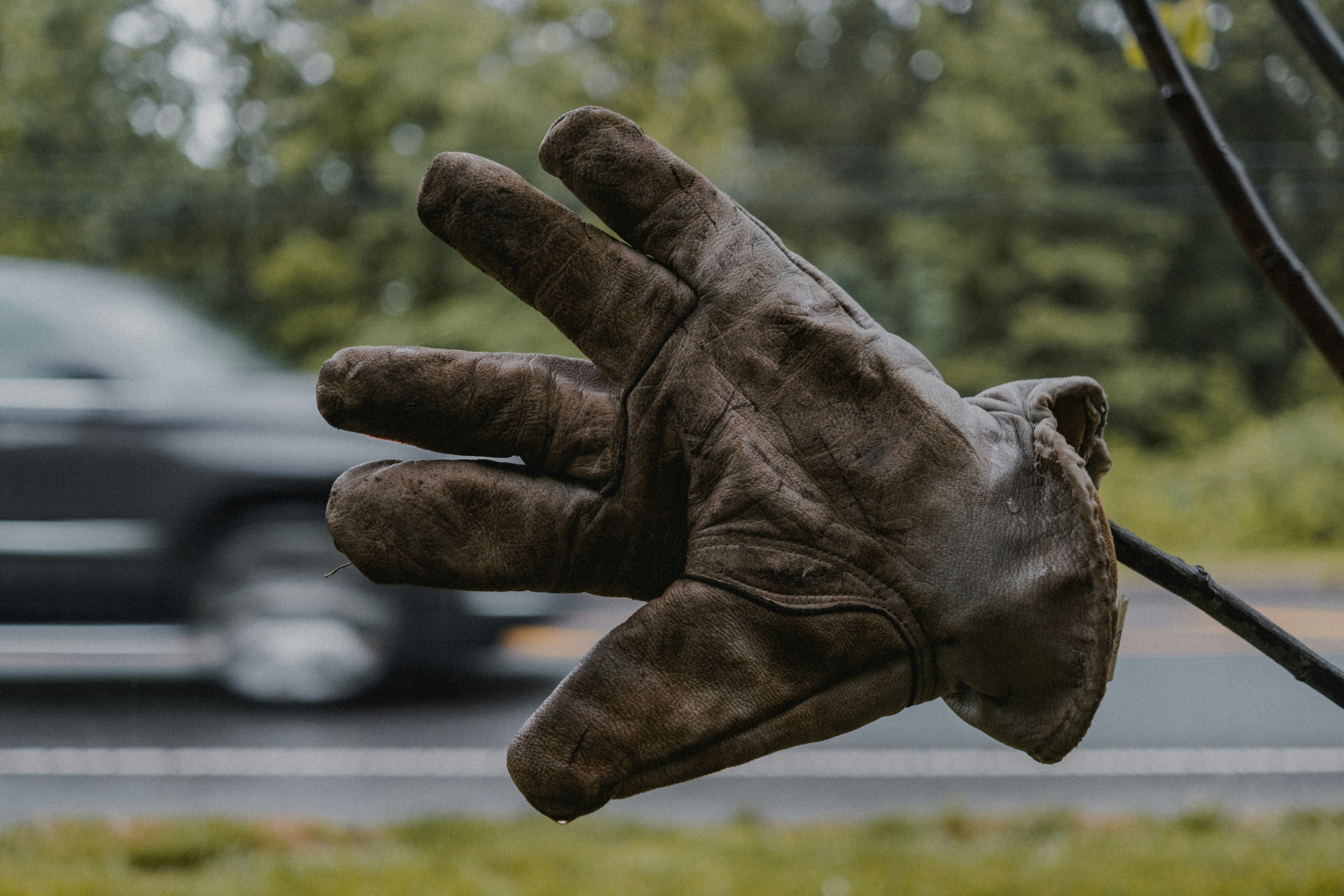 brown leather gloves on green grass during daytime