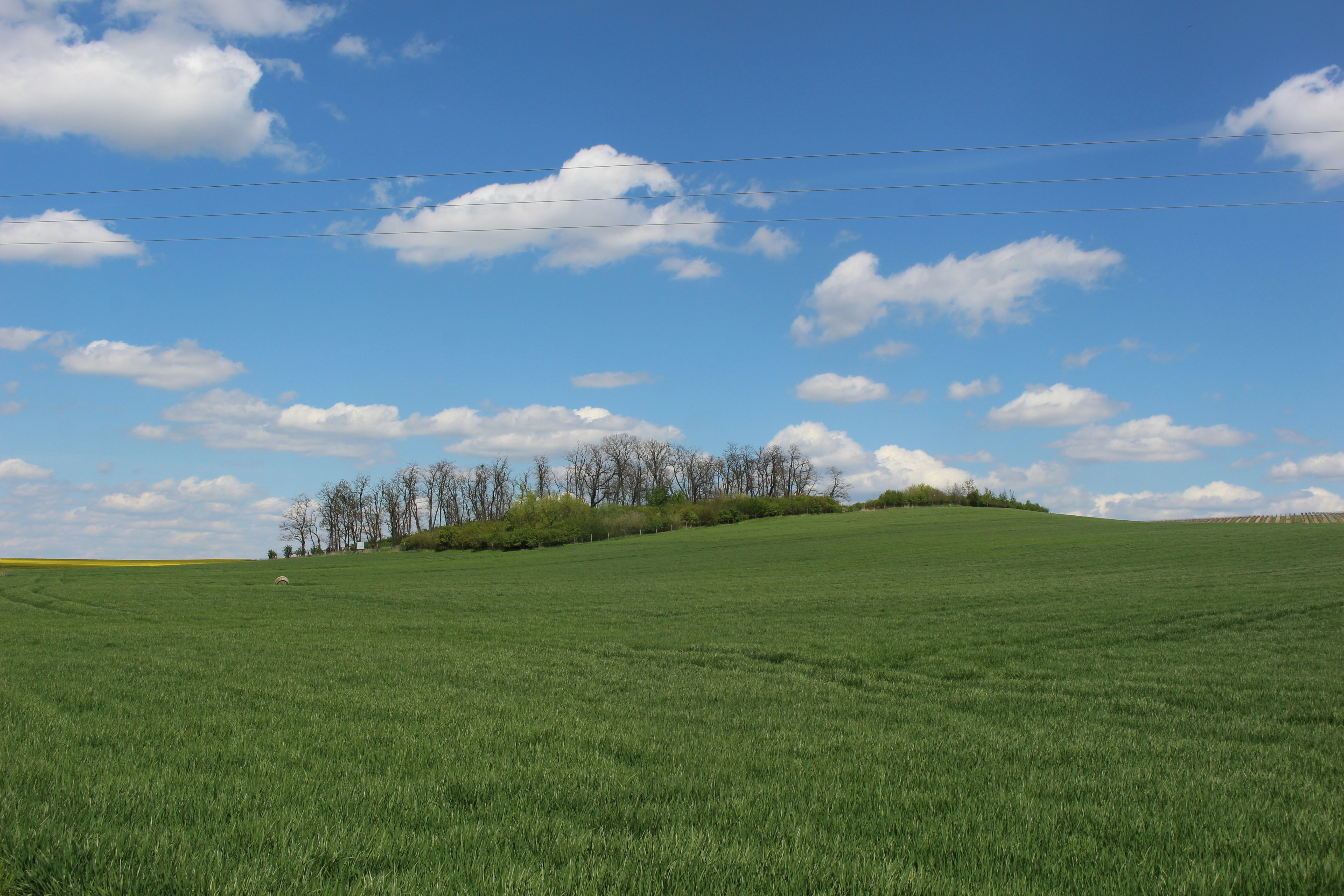 Green grass field under blue sky and white clouds during daytime photo ...