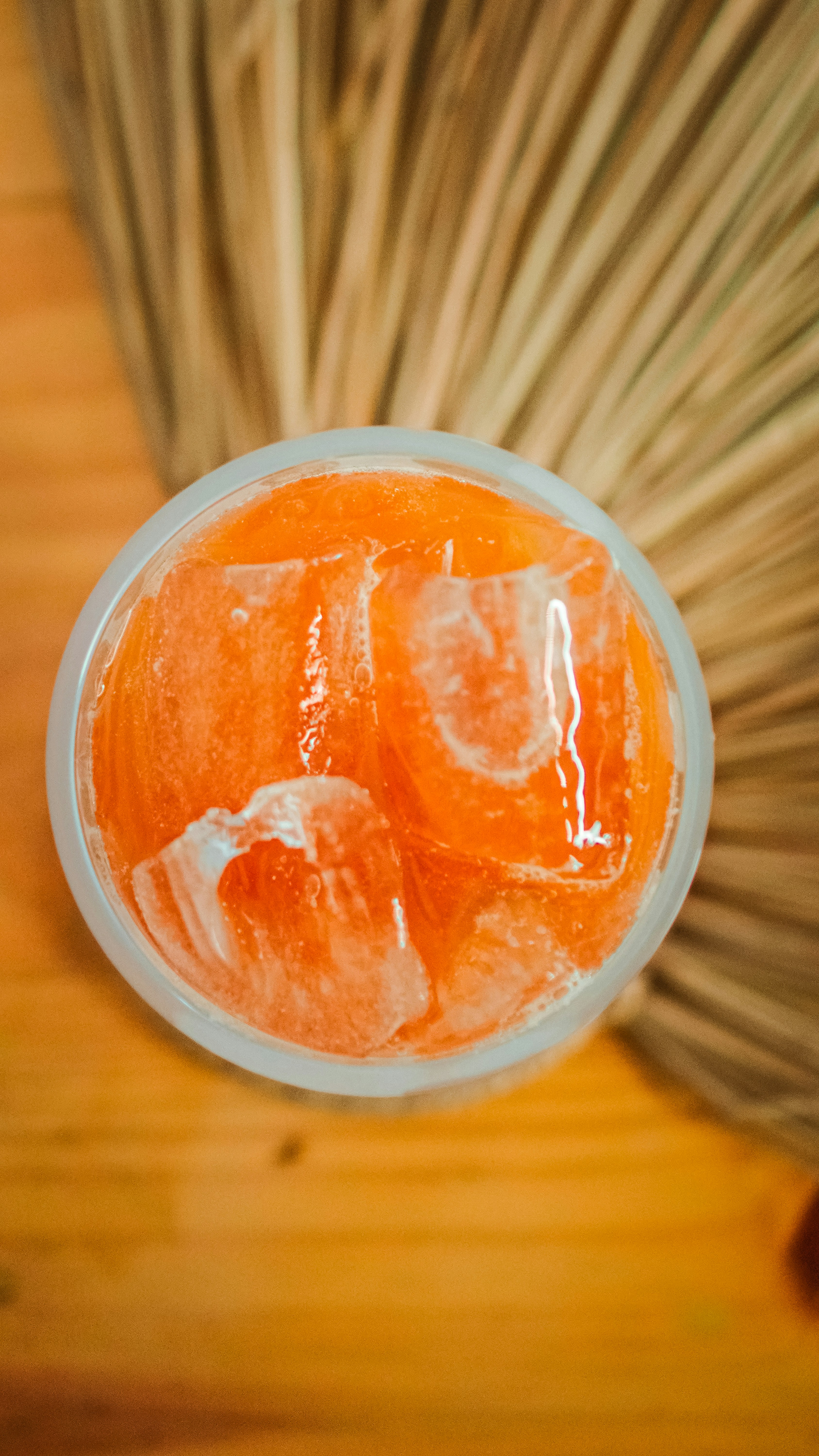 Citrus Crown from Above: Ice-Kissed Orange Elixir